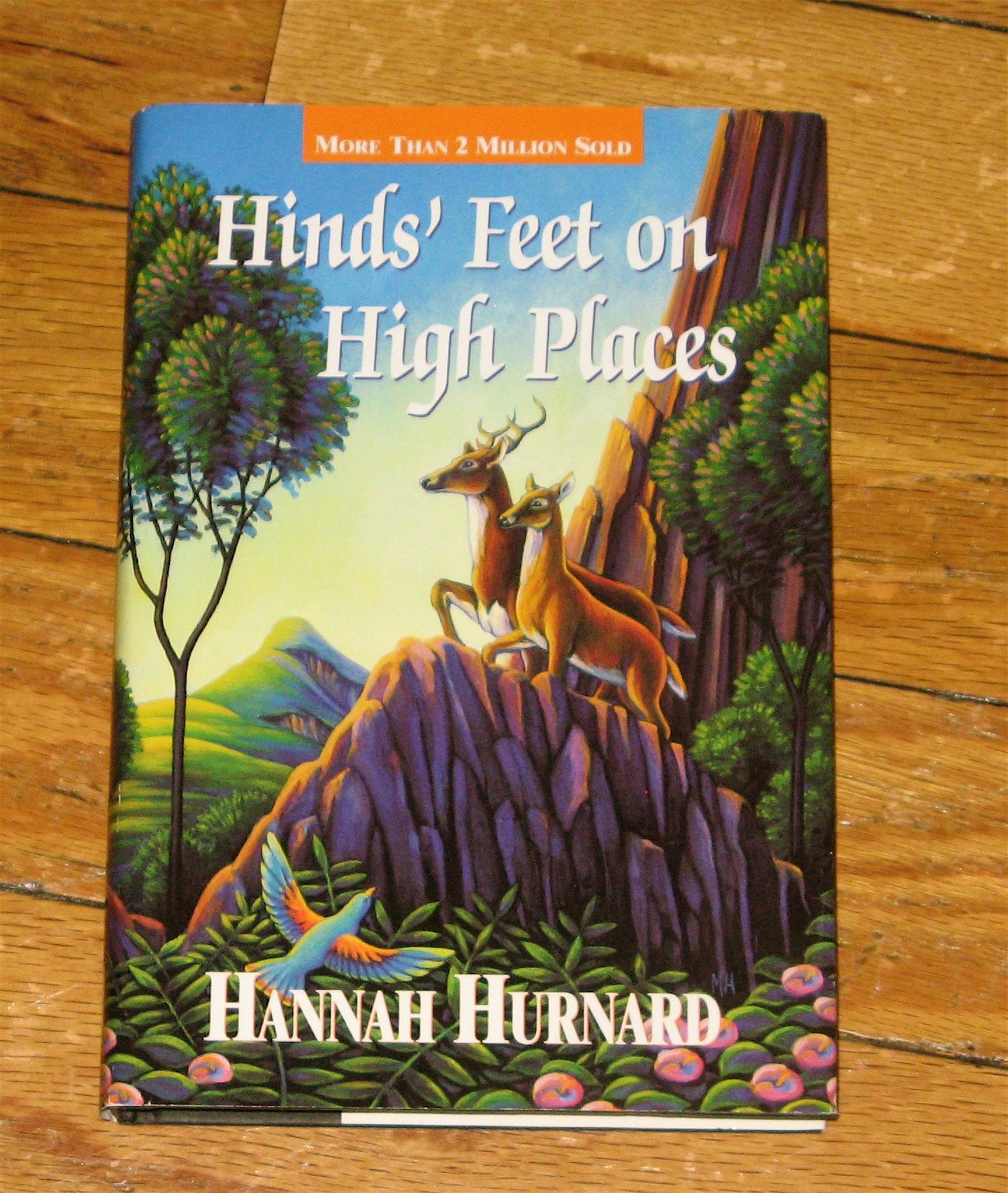 Hinds' Feet on High Places: hannah-hurnard: 9780739405642: Amazon.com ...