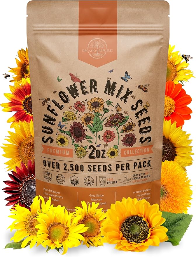 Amazon.com : Sunflower Mix Seeds Pack 2 oz - Over 2,500 Non-GMO ...