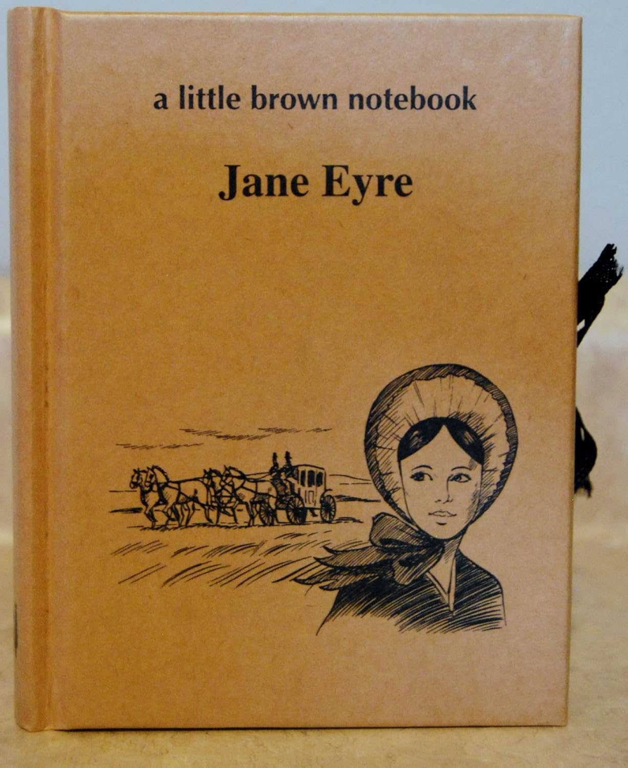 Little Brown Notebook of Jane Eyer: 9781897954829: Amazon.com: Books