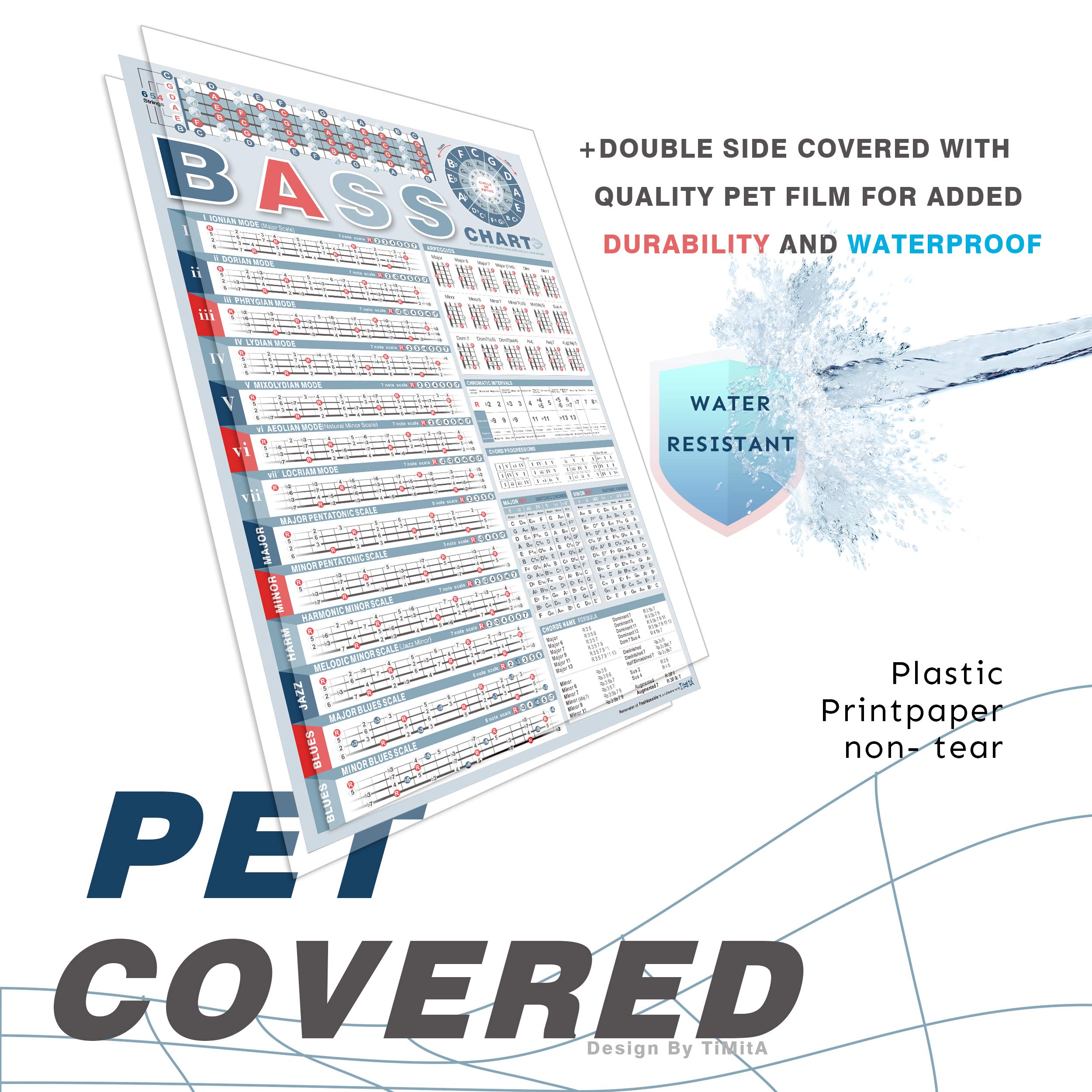 Bass Note Chart of Scale Chords | Bass Reference Poster for Beginners ...