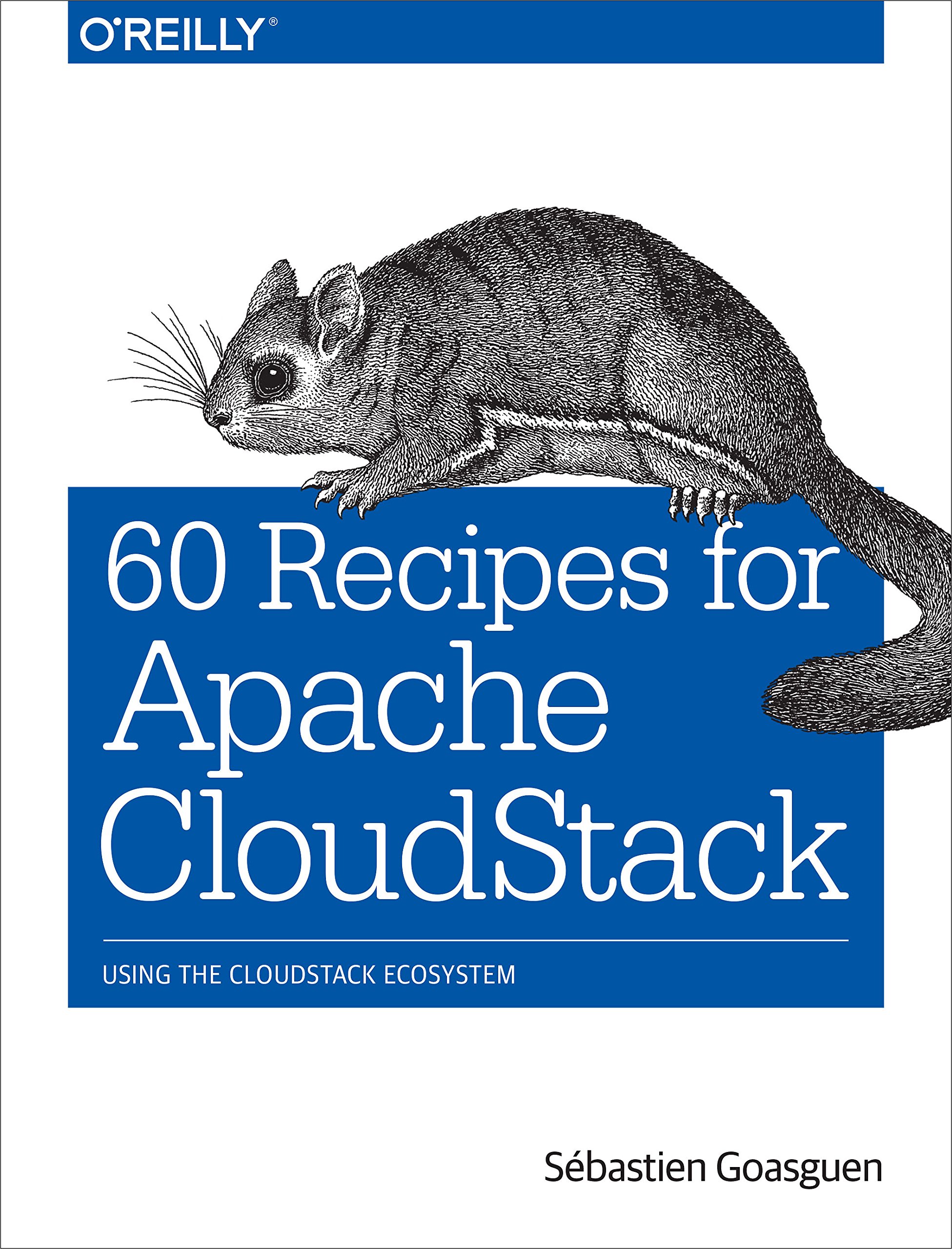 60 Recipes for Apache CloudStack: Using the CloudStack Ecosystem ...