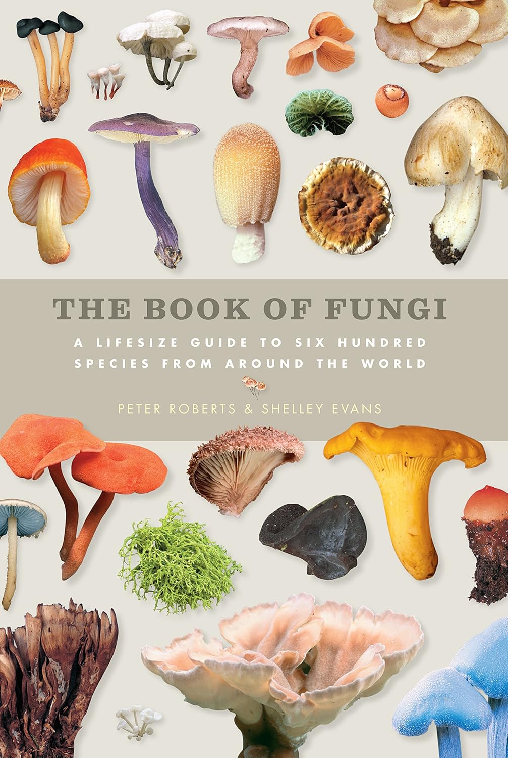 The Book of Fungi: A Life-Size Guide to Six Hundred Species From Around ...