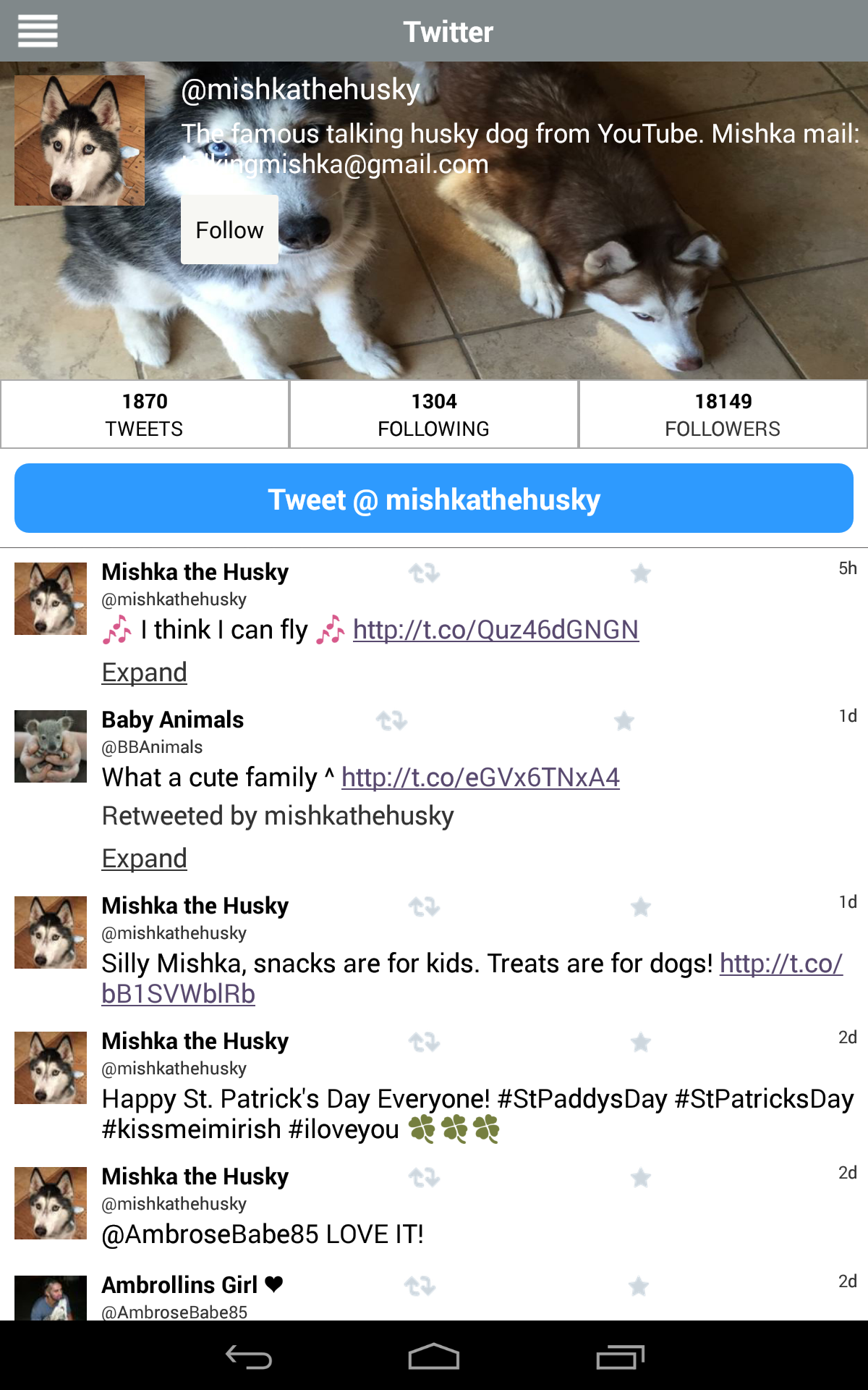 Mishka The Talking Husky - App on Amazon Appstore