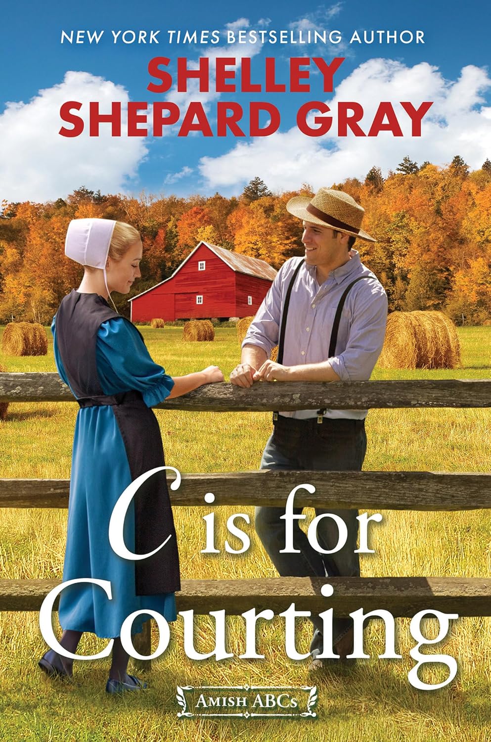 C Is for Courting (Amish ABCs): Gray, Shelley Shepard: 9781496748911 ...
