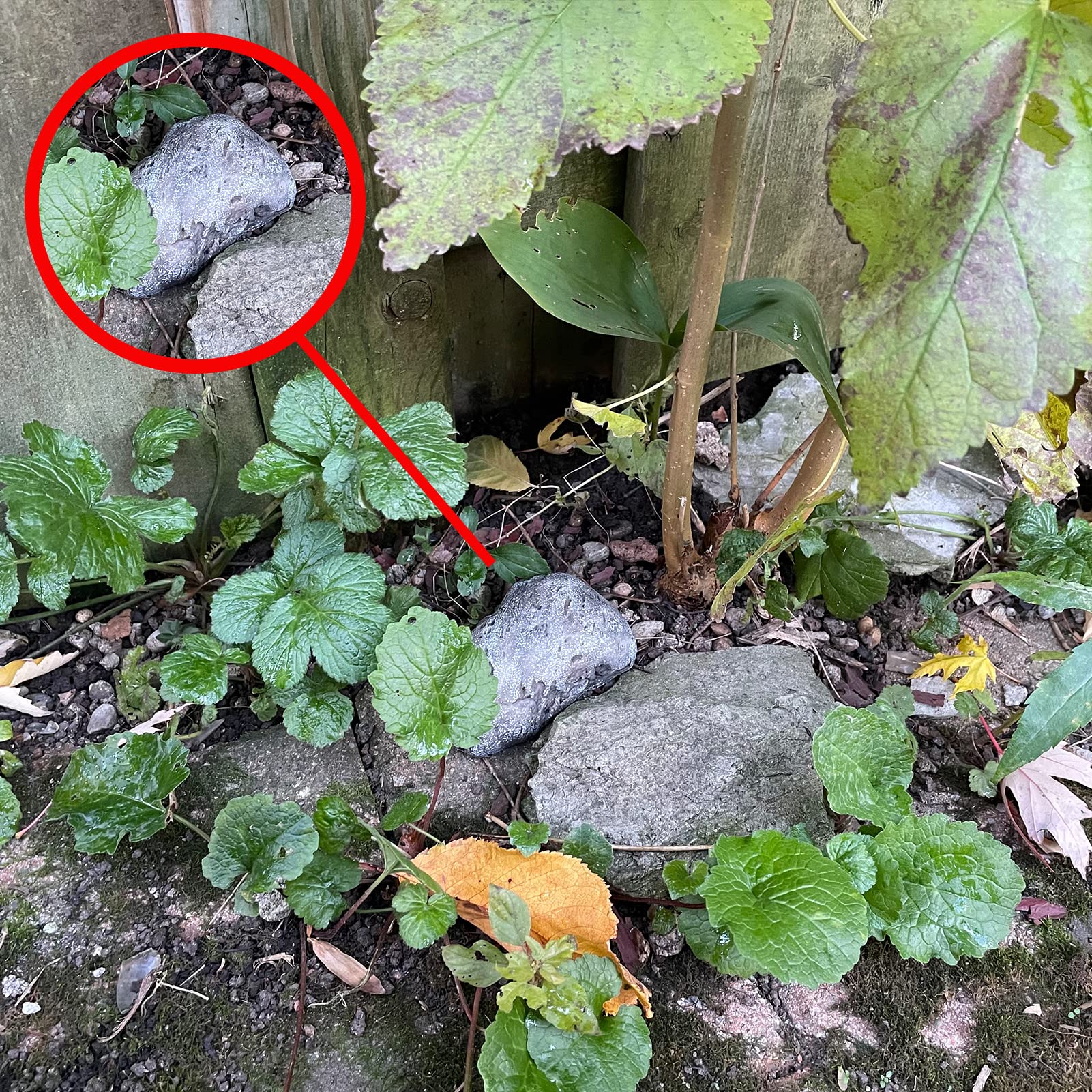 Snapklik.com : Key Rock - Safe For Outdoor Hide A Key In Plain Sight In ...