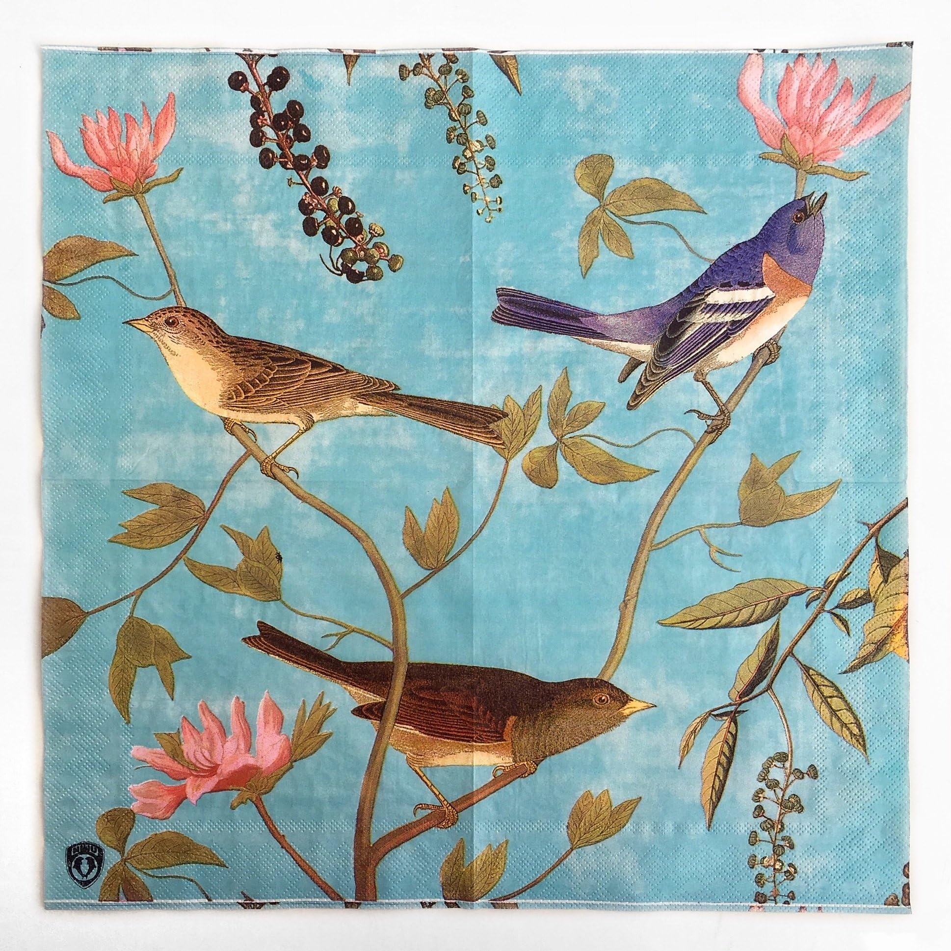 Amazon.com: Colored Paper Napkins, 20 Count Shabby Chic Napkins for ...