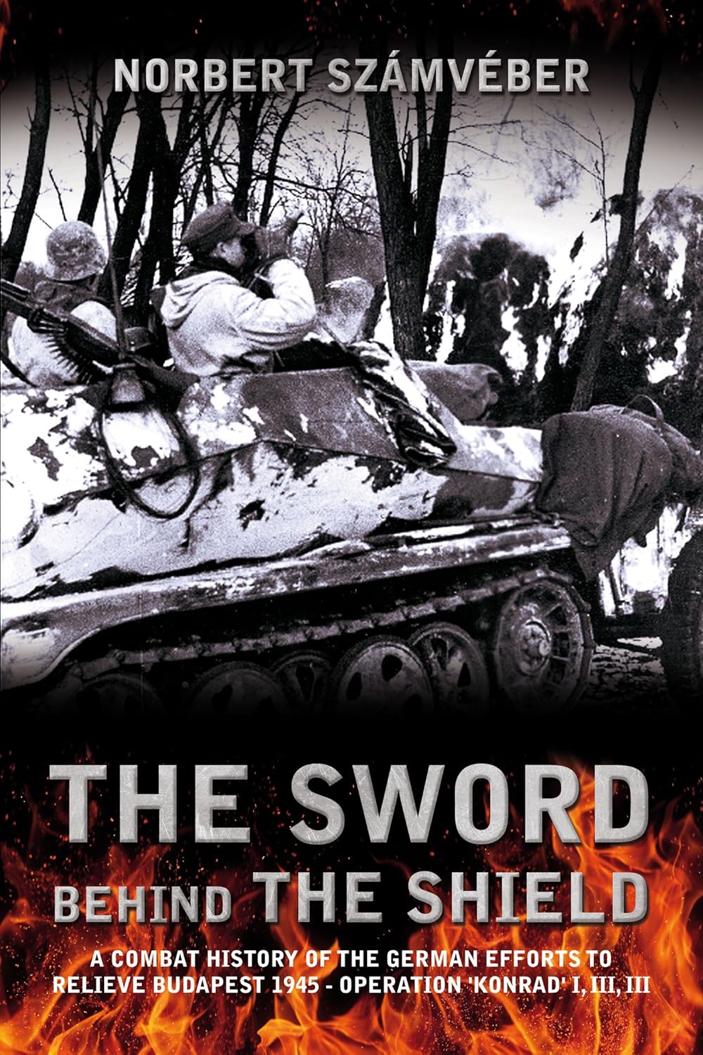The Sword Behind the Shield: A Combat History of the German Efforts to ...
