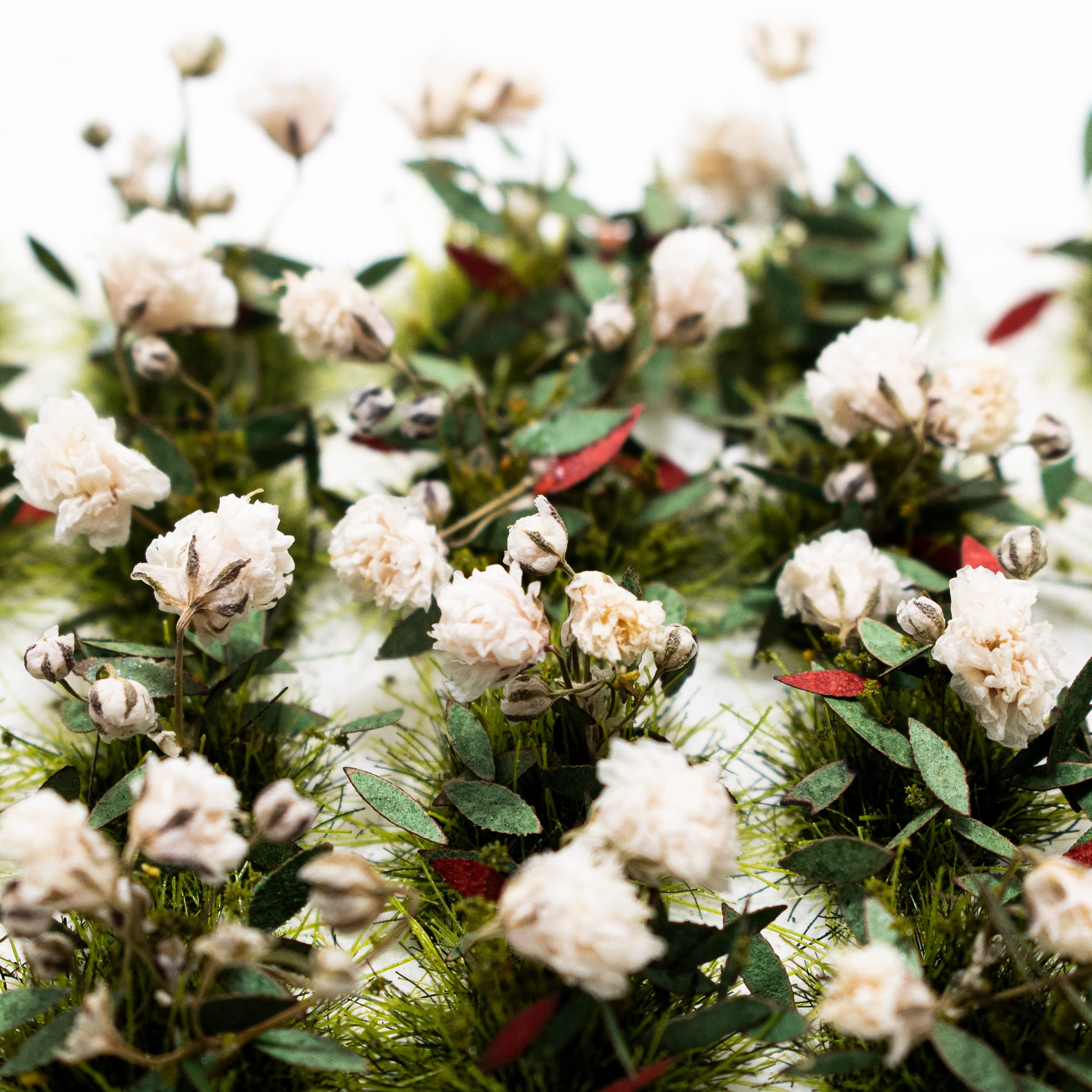 Snapklik.com : 40 Pcs Flower Cluster Flower Vegetation Groups Grass ...