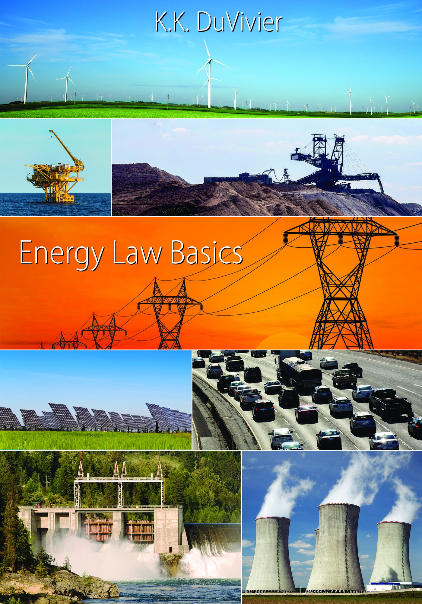 Amazon.com: Energy Law Basics: 9780769869520: DuVivier, K. K.: Books