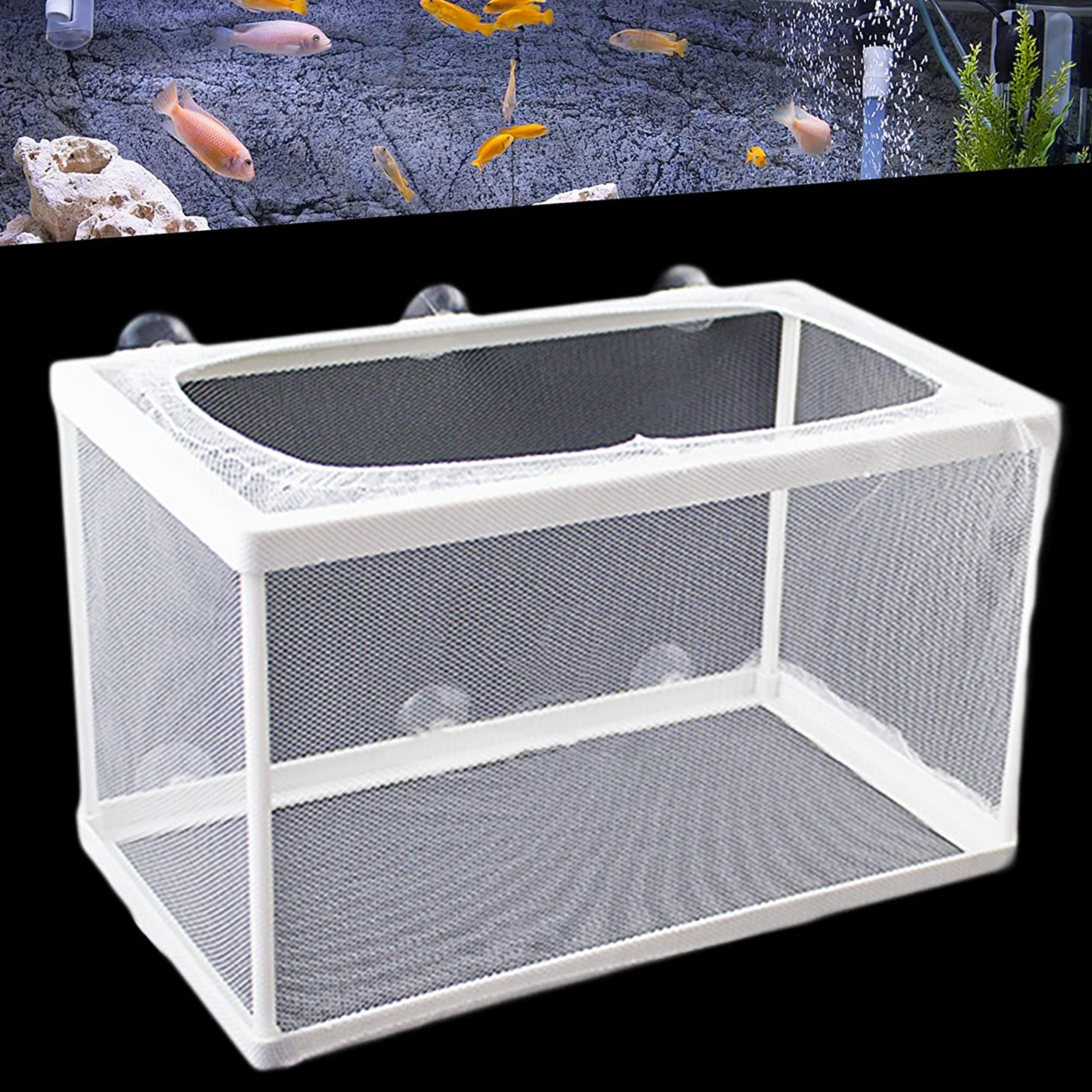 1Pcs Fish Breeding Box Aquarium with Suction Cups, Small Fry Hatchery ...
