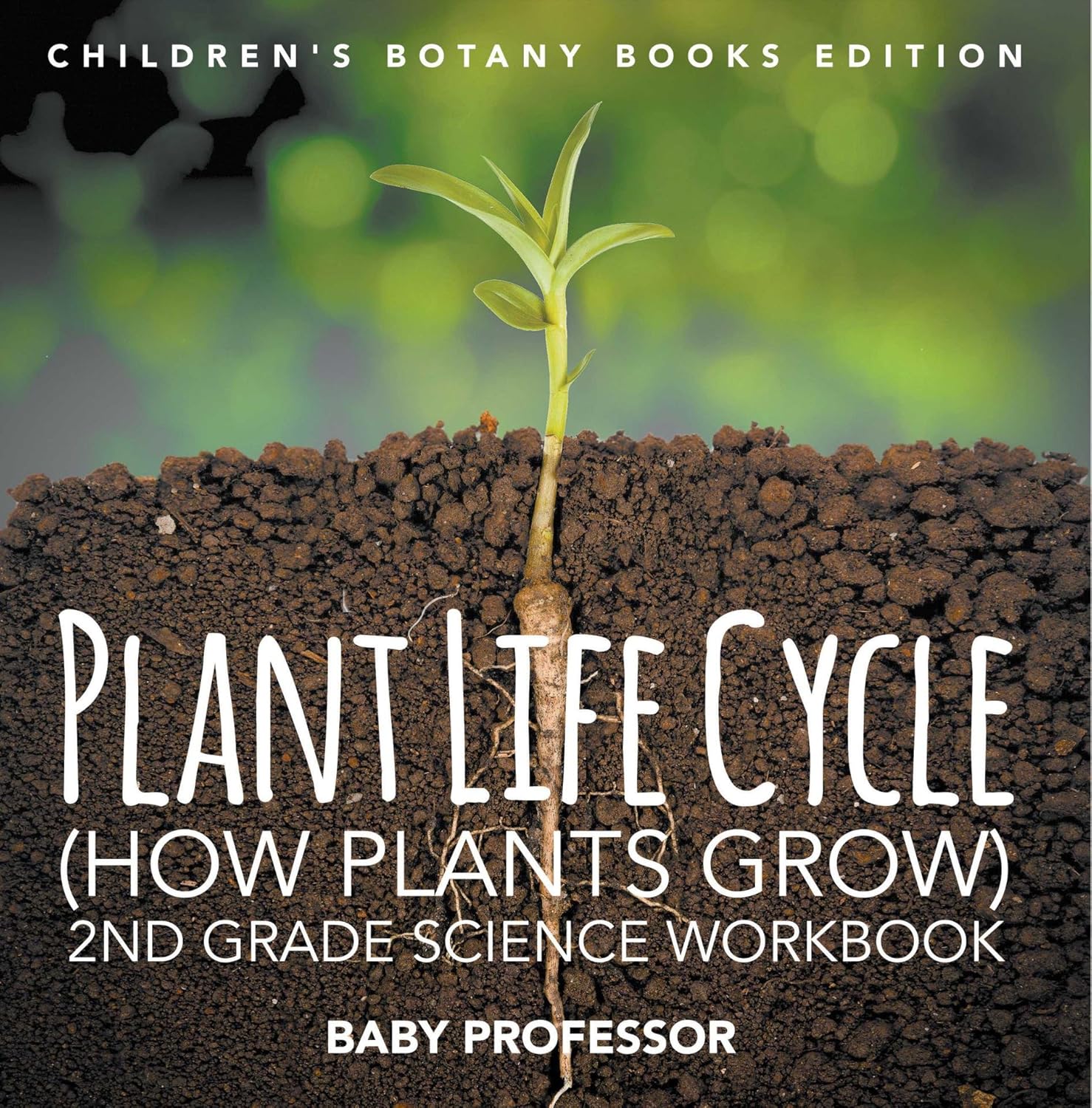 Amazon | Plant Life Cycle (How Plants Grow): 2nd Grade Science Workbook ...
