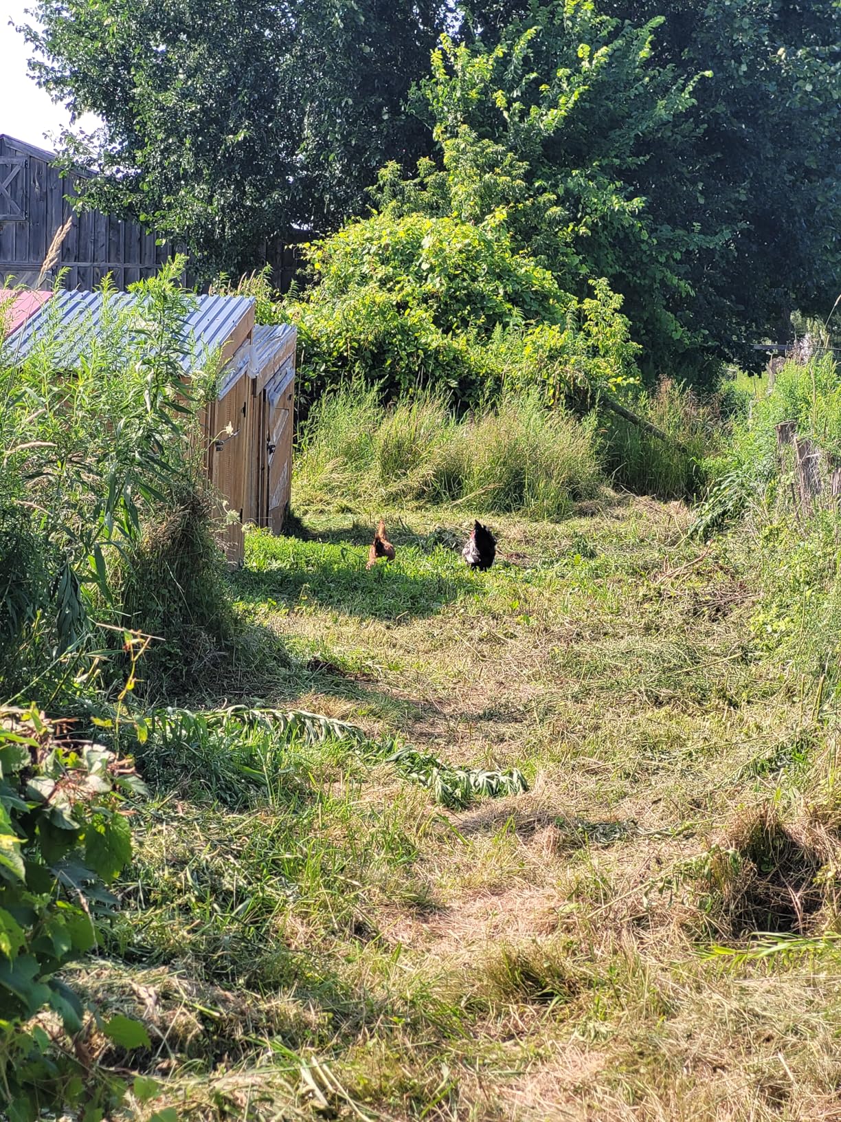 Viabrico String Trimmer Line, Square Orange Heavy Duty Weed Eater ...