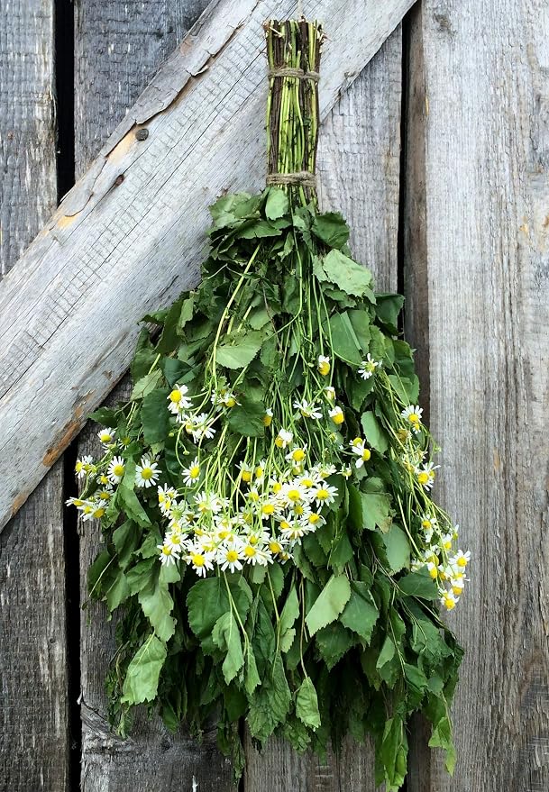 Amazon.com : Birch + Camomile Organic Sauna Whisk Venik : Patio, Lawn ...