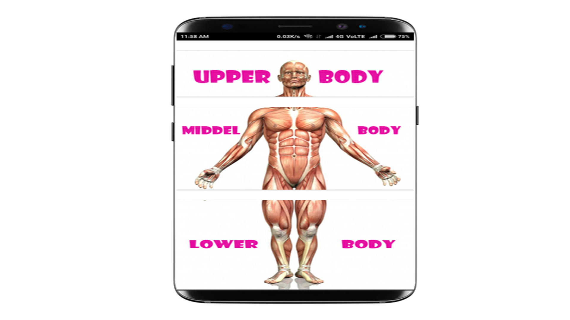 Human Body Parts For Kids Amazon in Appstore For Android human-body-parts-for-kids-amazon-in-appstore-for-android