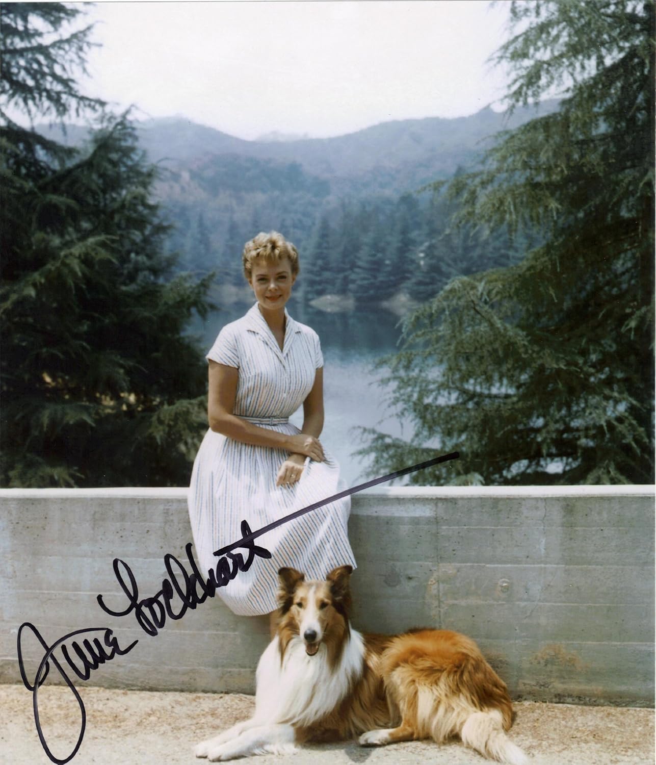 June Lockhart Lassie Autographed Photo at Amazon's Entertainment ...