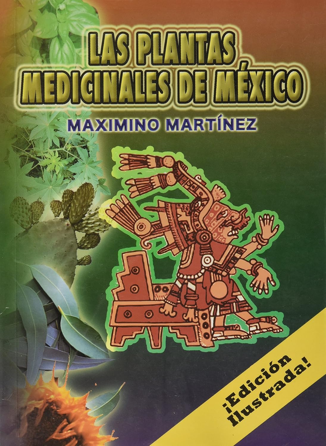 Las Plantas Medicinales de México. Edicion Ilustrada (Spanish Edition ...