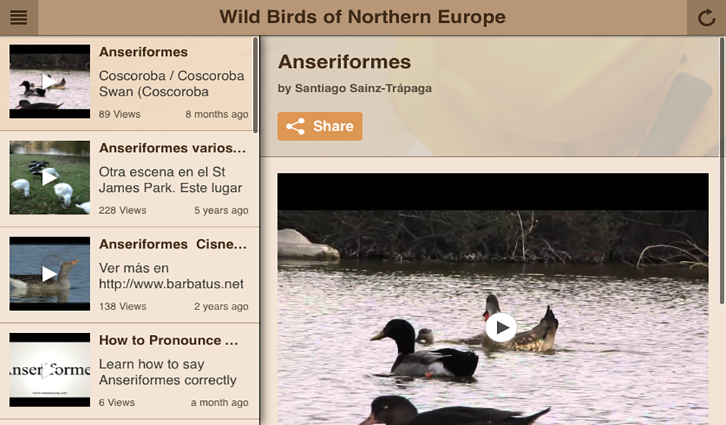 What Are The Native Birds Of Europe