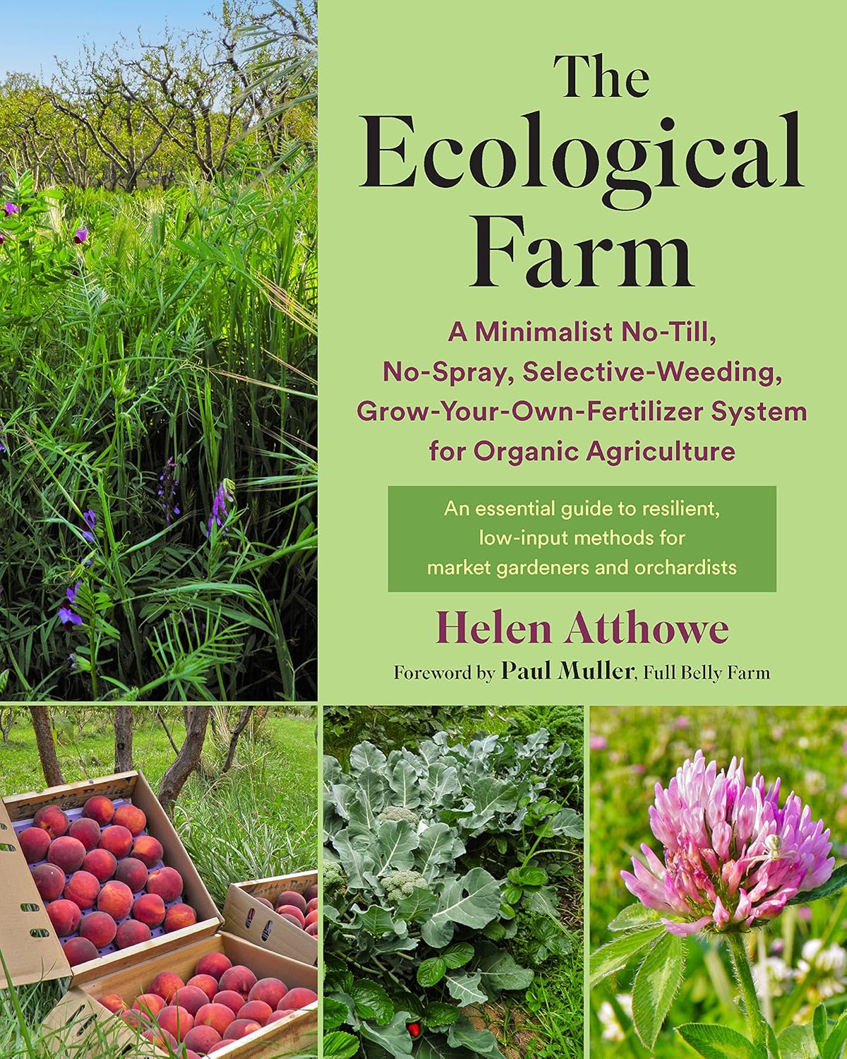 The Ecological Farm: A Minimalist No-Till, No-Spray, Selective-Weeding ...