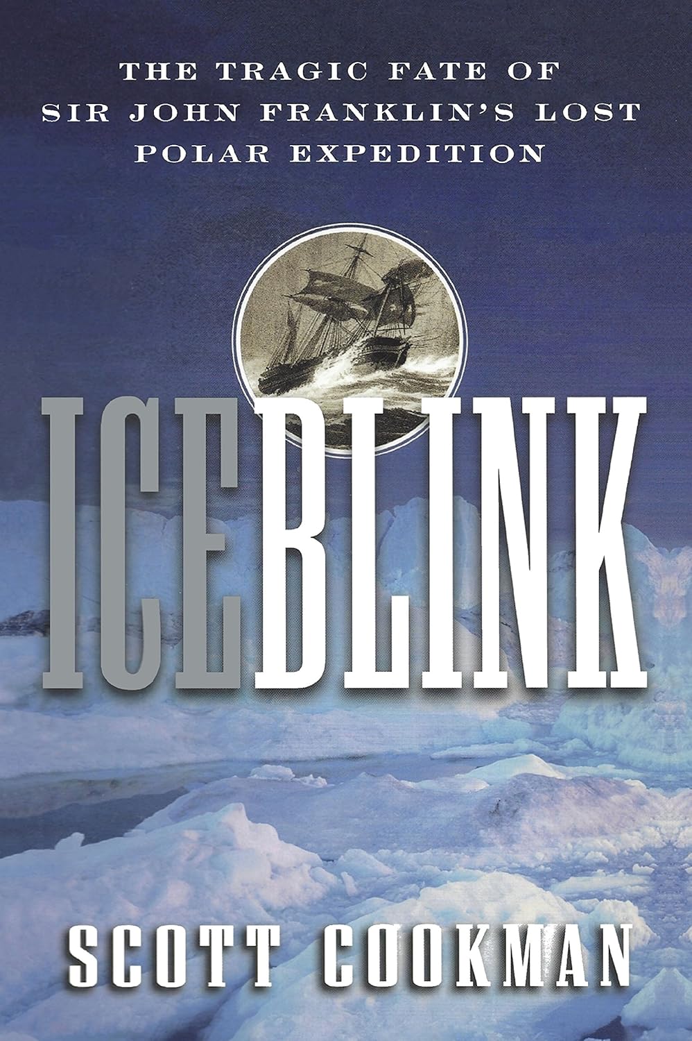 Ice Blink: The Tragic Fate of Sir John Franklin's Lost Polar Expedition ...