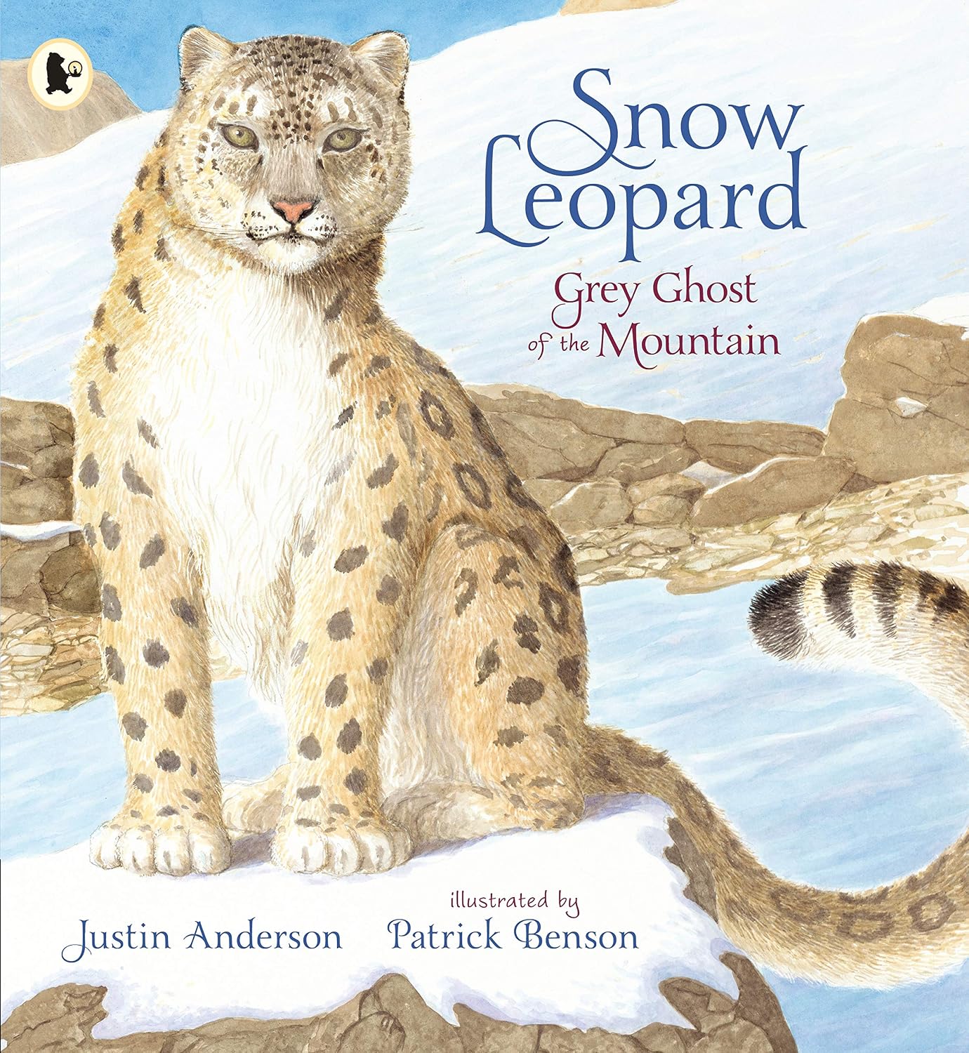 Snow Leopard: Grey Ghost of the Mountain (Nature Storybooks) : Anderson ...