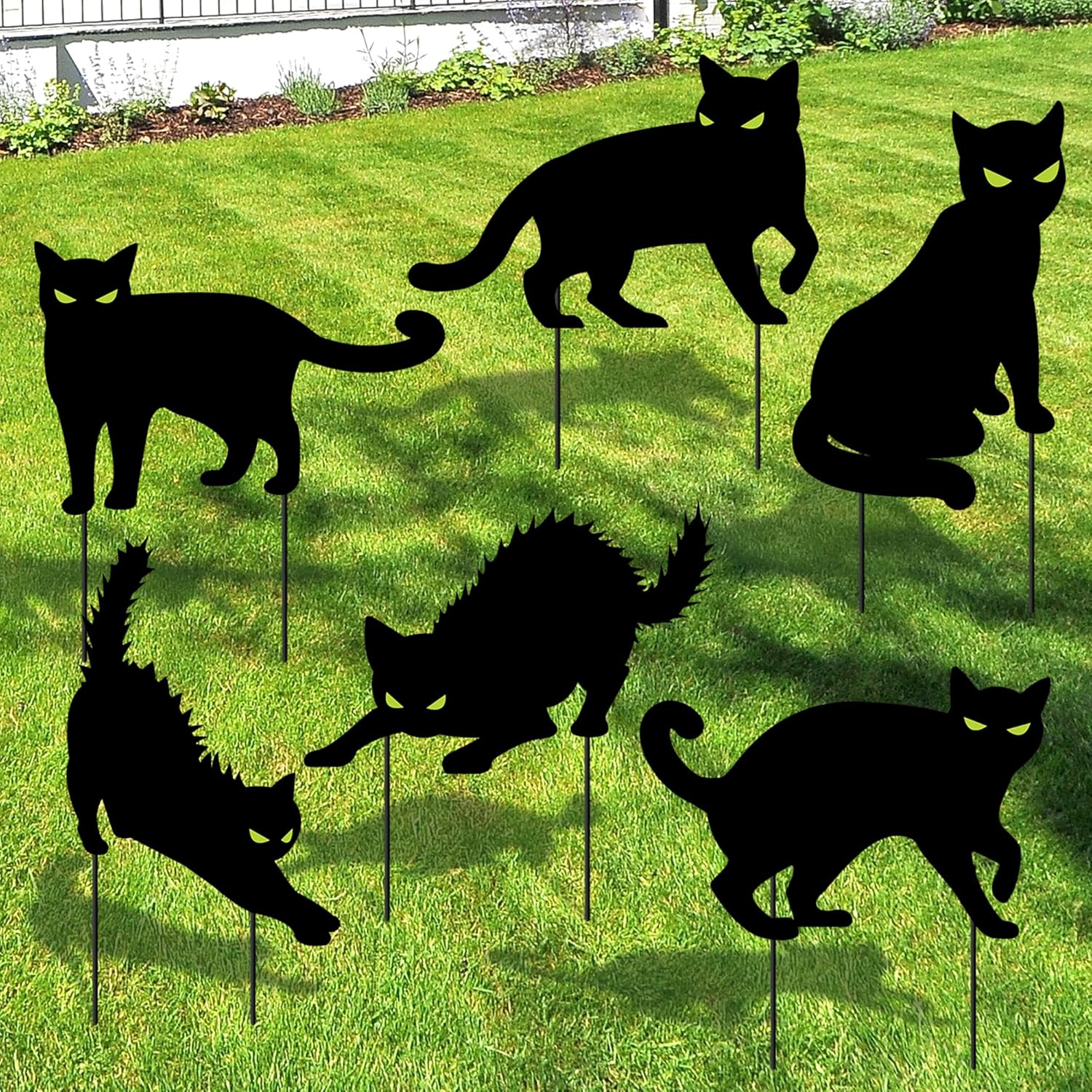 Amazon.com : Halloween Yard Signs with Stakes - Pack of 6 | Black Cat ...