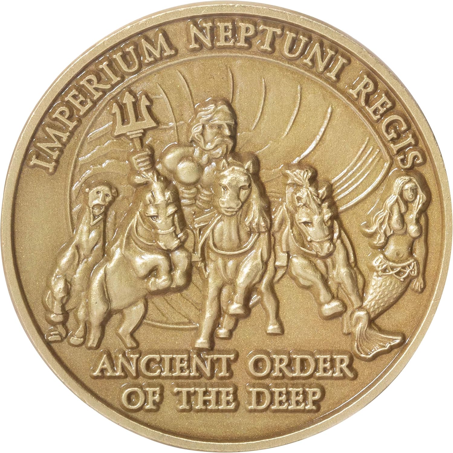 Amazon.com: United States Navy Trusty Shellback Crossing The Line ...