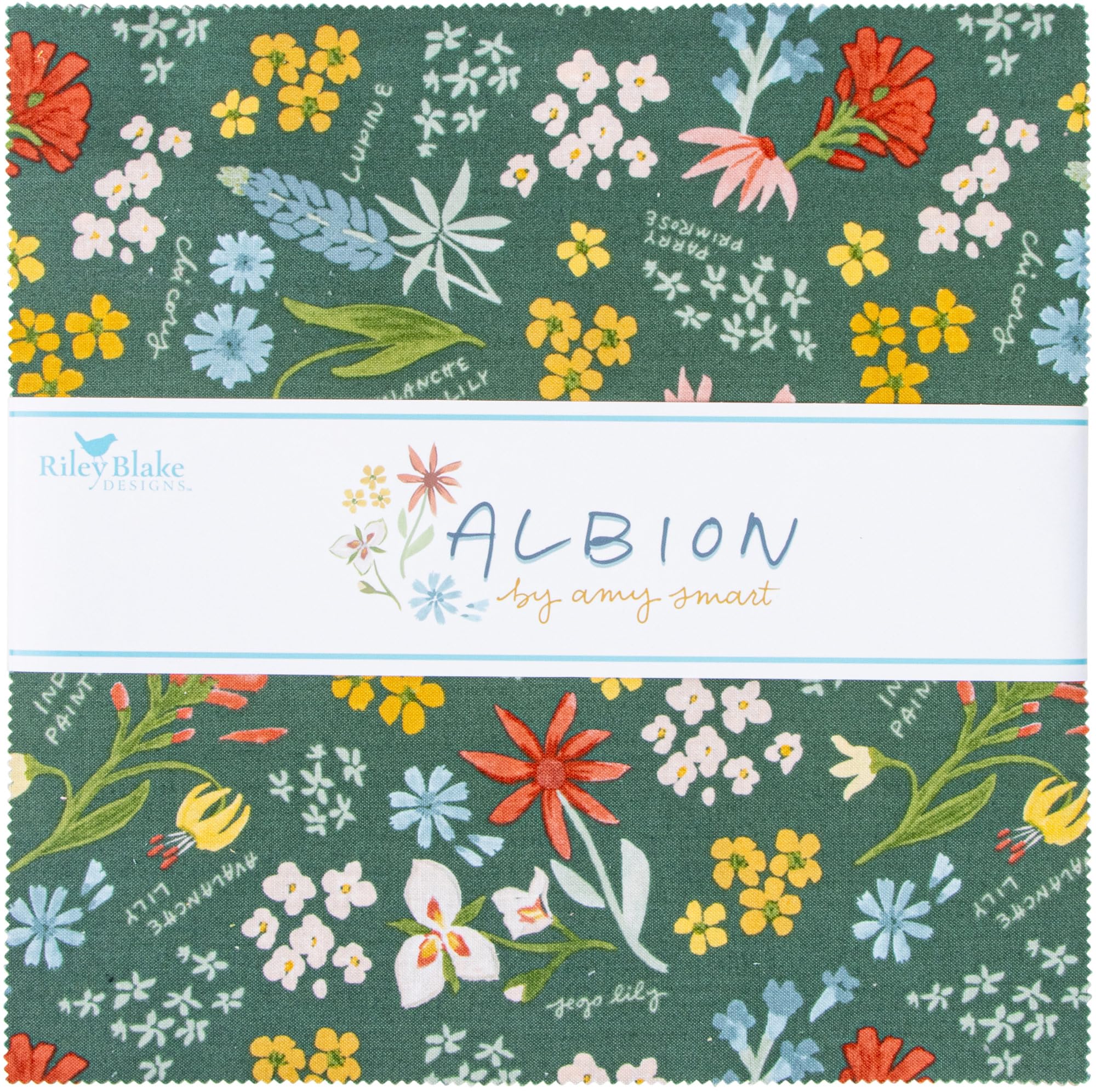 Amazon.com: Amy Smart Albion 10"" Stacker 42 10-inch Squares Layer Cake ...