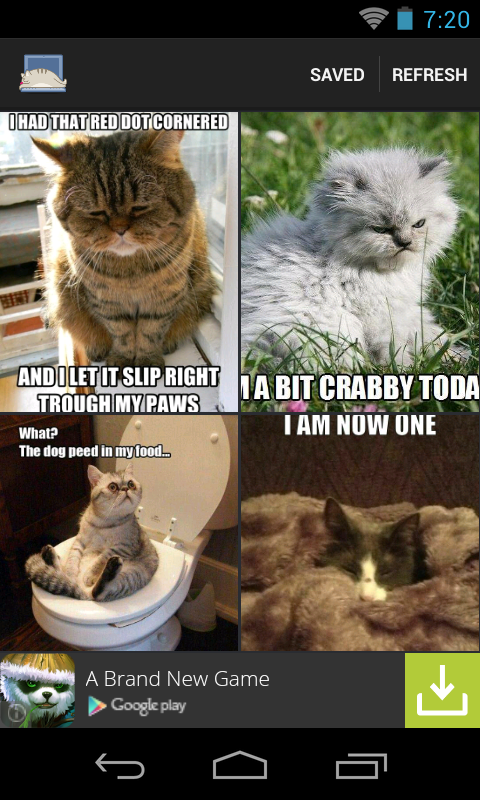 Lol Cats