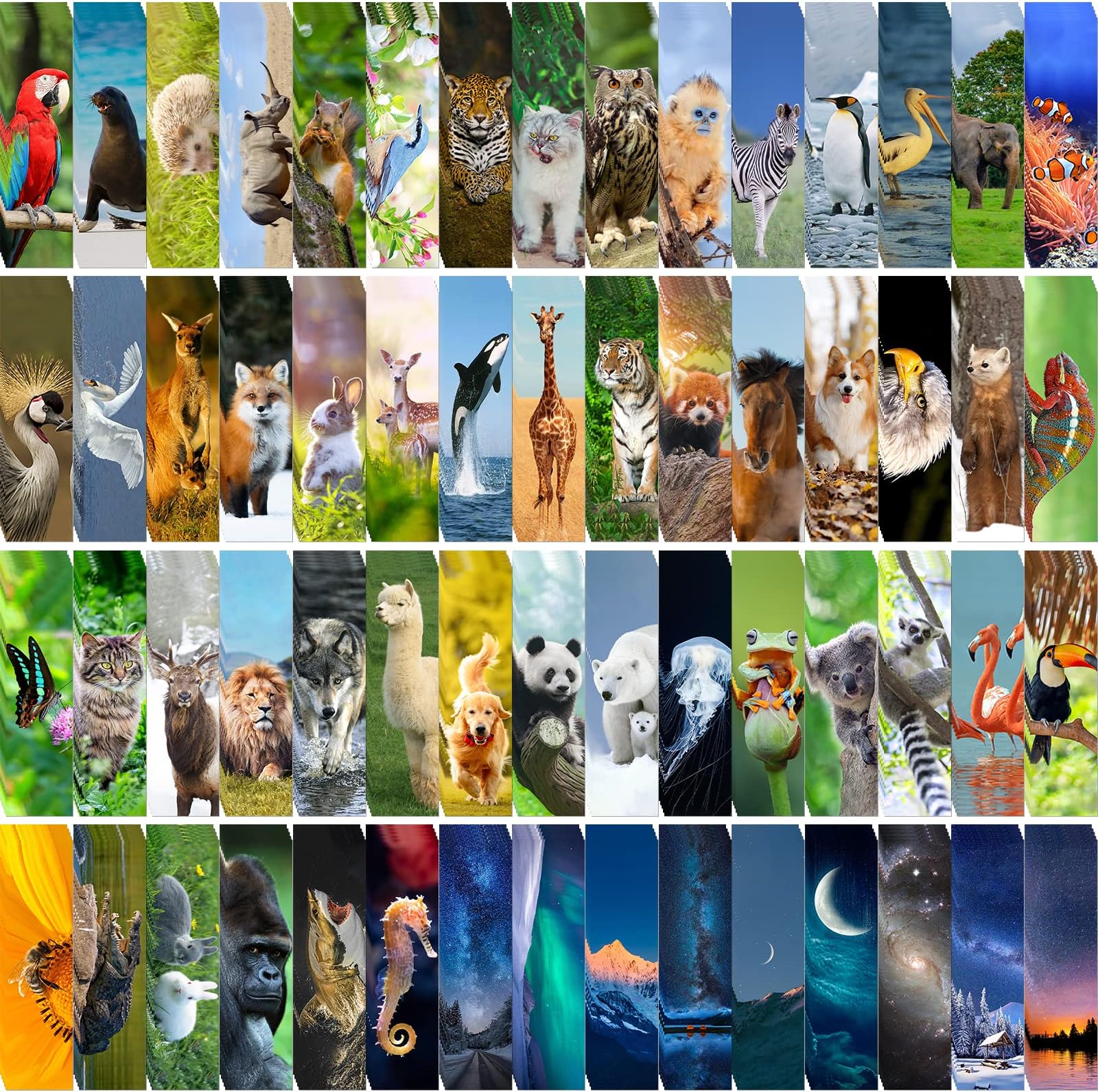 Amazon.com: 300PCS Animal Bulk Bookmarks for Kids Classroom - 60 ...