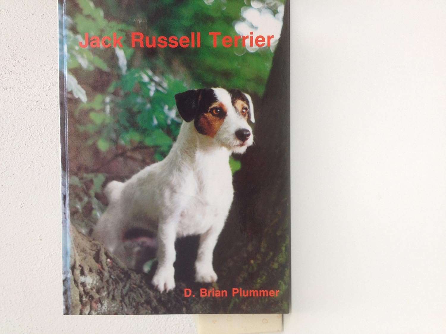 Jack Russell Terrier : D. Brian Plummer (Autor), Christiane. Lindenberg ...