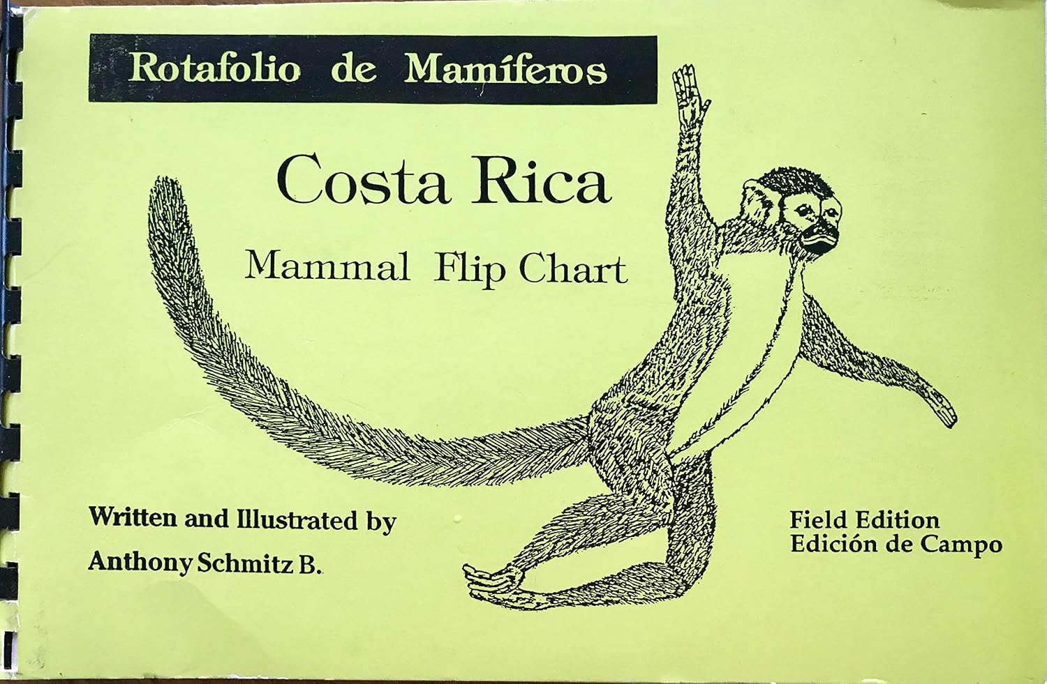 Costa Rica Mammal Flip Chart / Rotafolio de Mamíferos: Anthony Schmitz ...