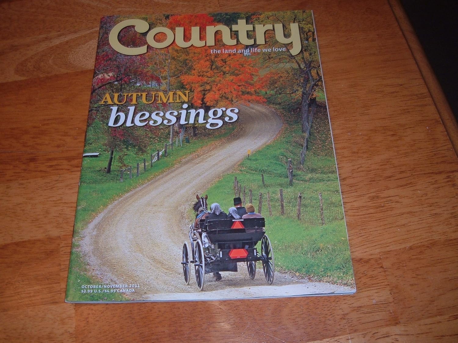 Country Magazine, October/November 2011-Amish Buggy in Holmes County ...