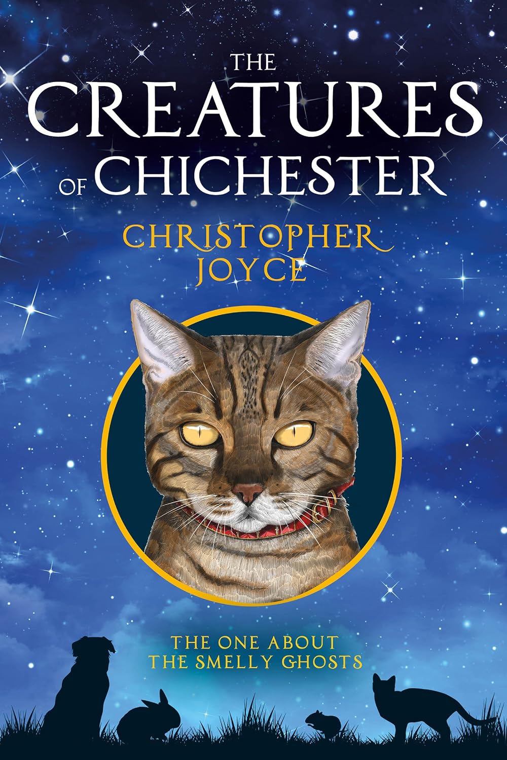 The Creatures of Chichester: the one about the smelly ghosts - Kindle ...