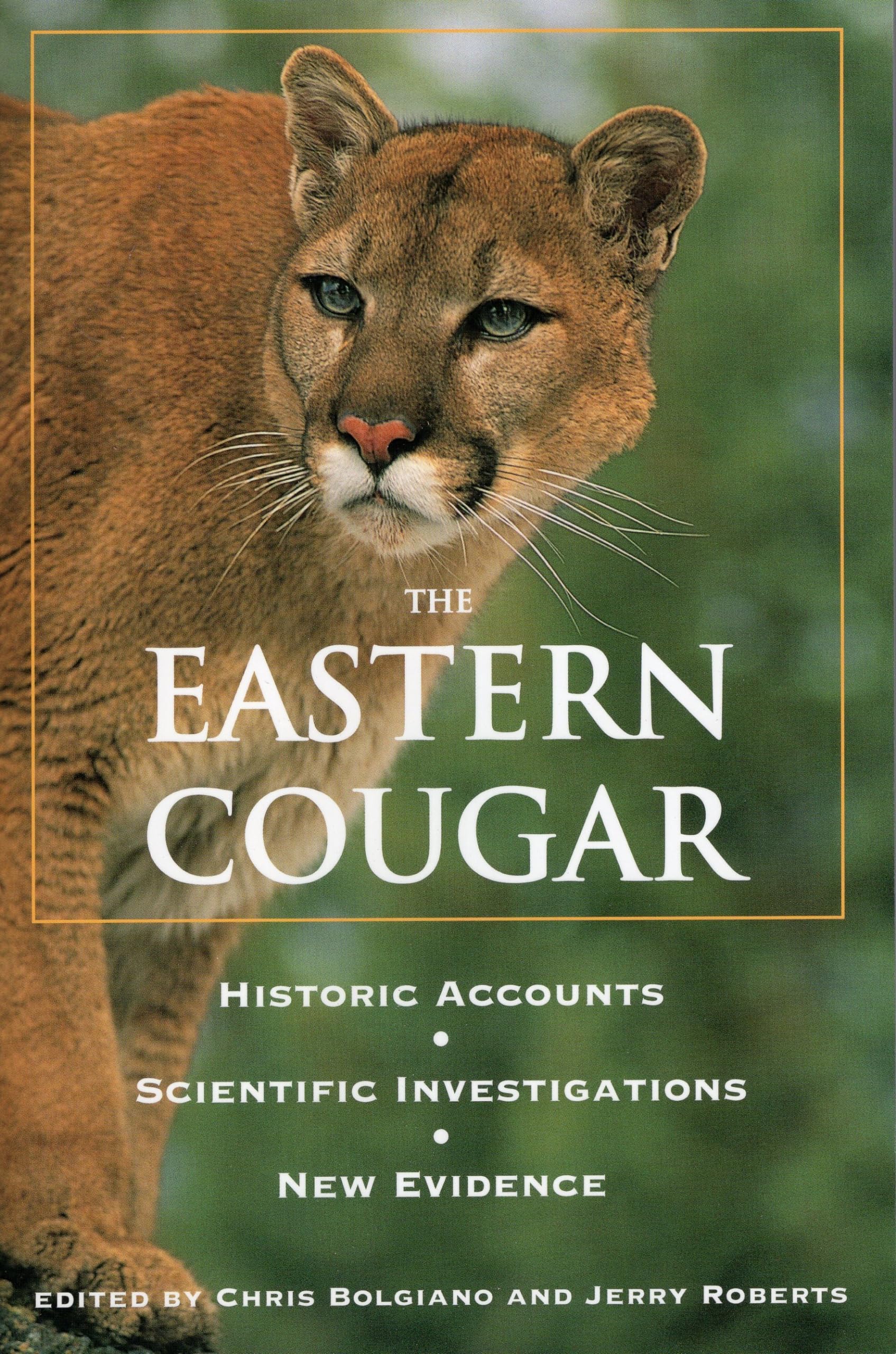 Eastern Cougar: Historic Accounts, Scientific Investigations, New ...