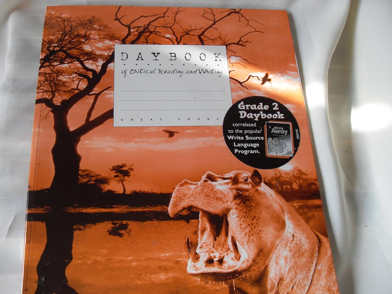 Great Source Daybooks: Critical Reading and Writing Student Edition ...