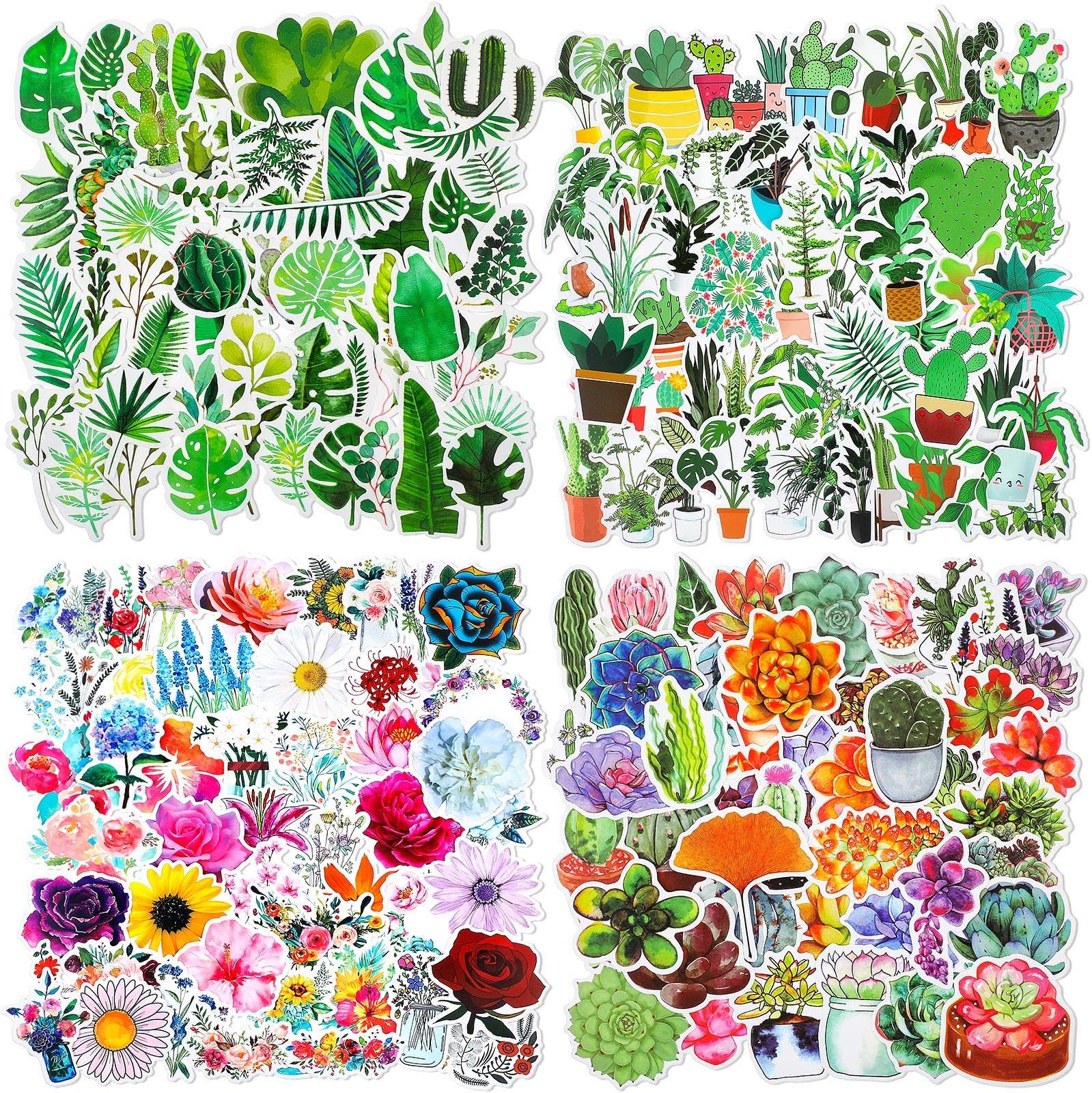 Amazon.com: Bewudy 60 Pcs Succulent Plant Stickers, Aesthetic ...