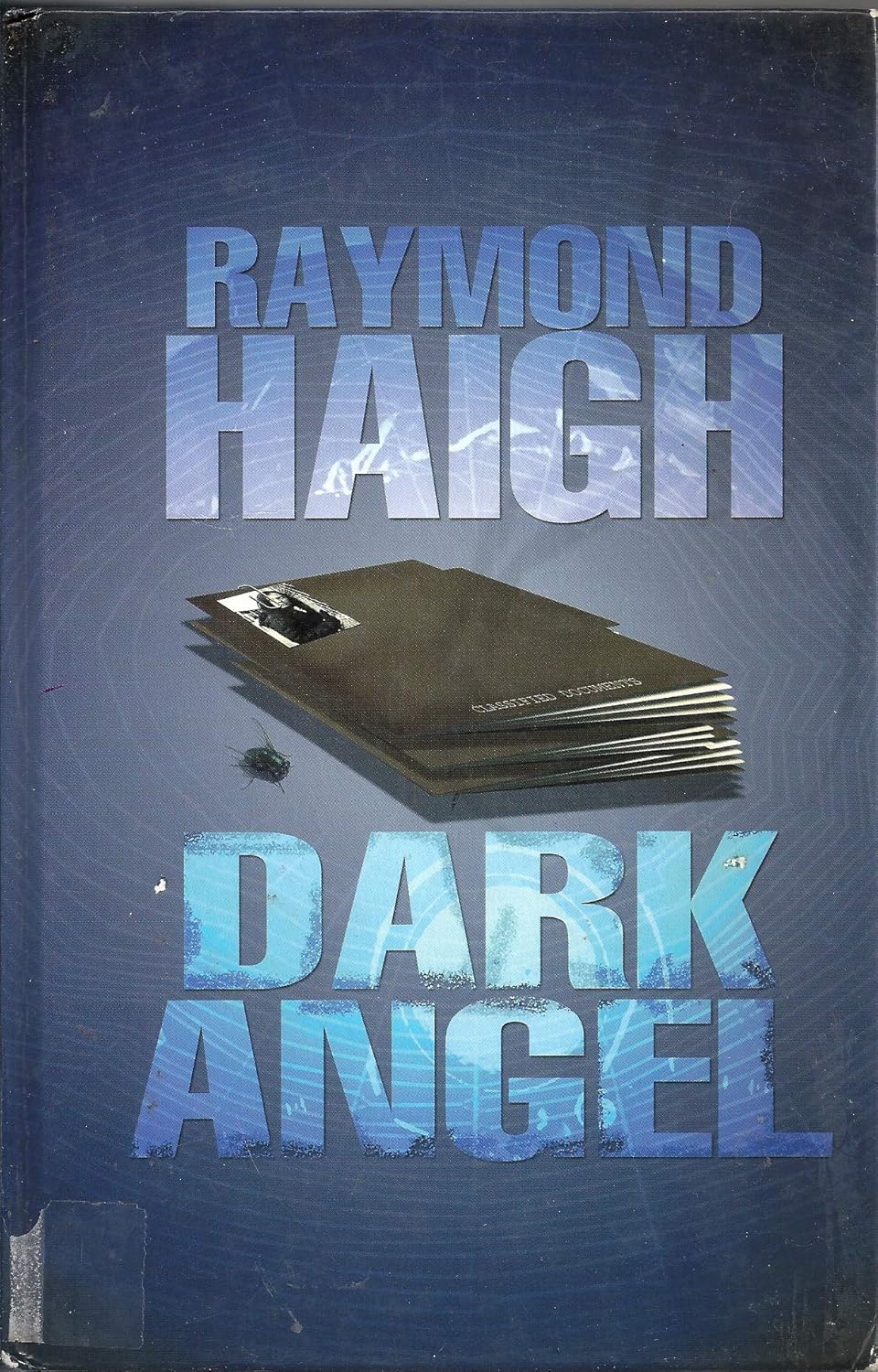 Amazon.com: Dark Angel: 9781846177088: Haigh, Raymond: Books