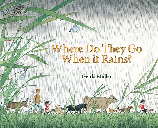 Amazon.com: Where Do They Go When It Rains?: 9780863157493: Muller ...