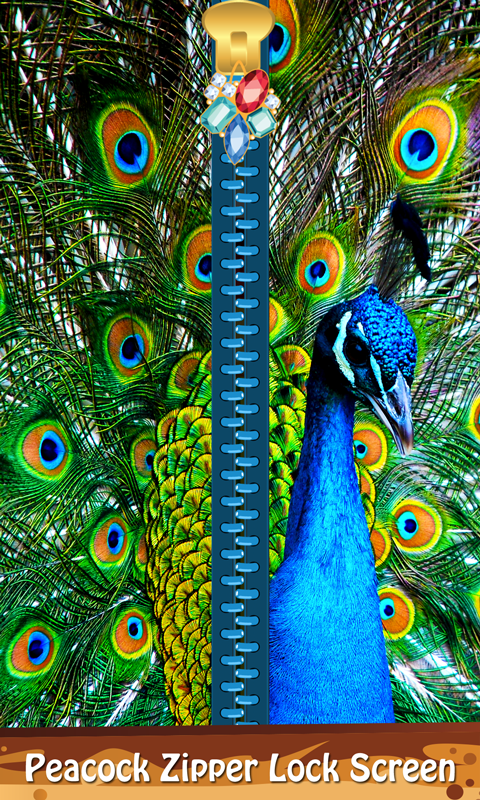Peacock Zipper Lock Screen - App on Amazon Appstore