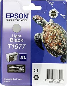 Epson Stylus Photo R3000 Ink Cartridge - Light Black : Epson: Amazon.co ...