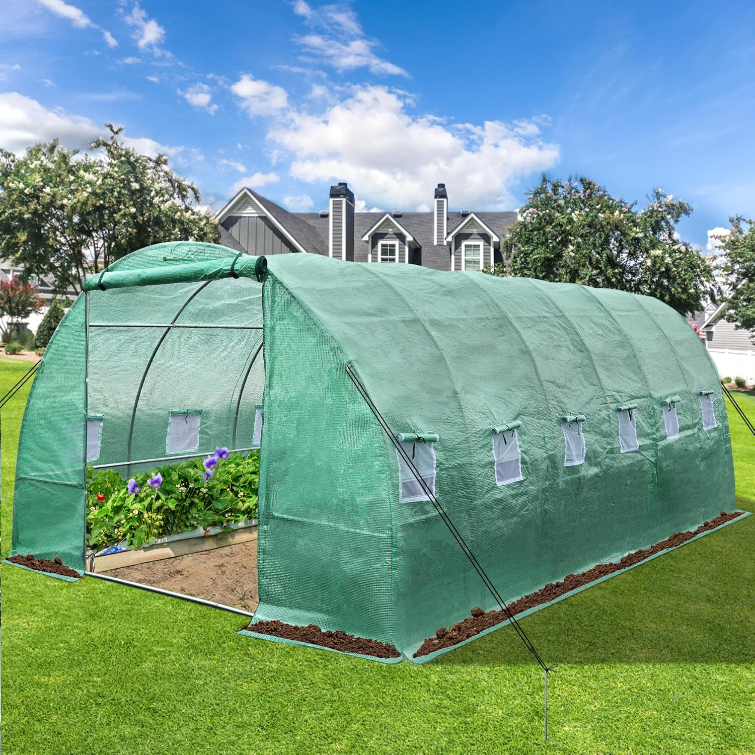 Amazon.com : DWVO 20x10x6.6ft Greenhouse Heavy Duty Large Walk-in ...