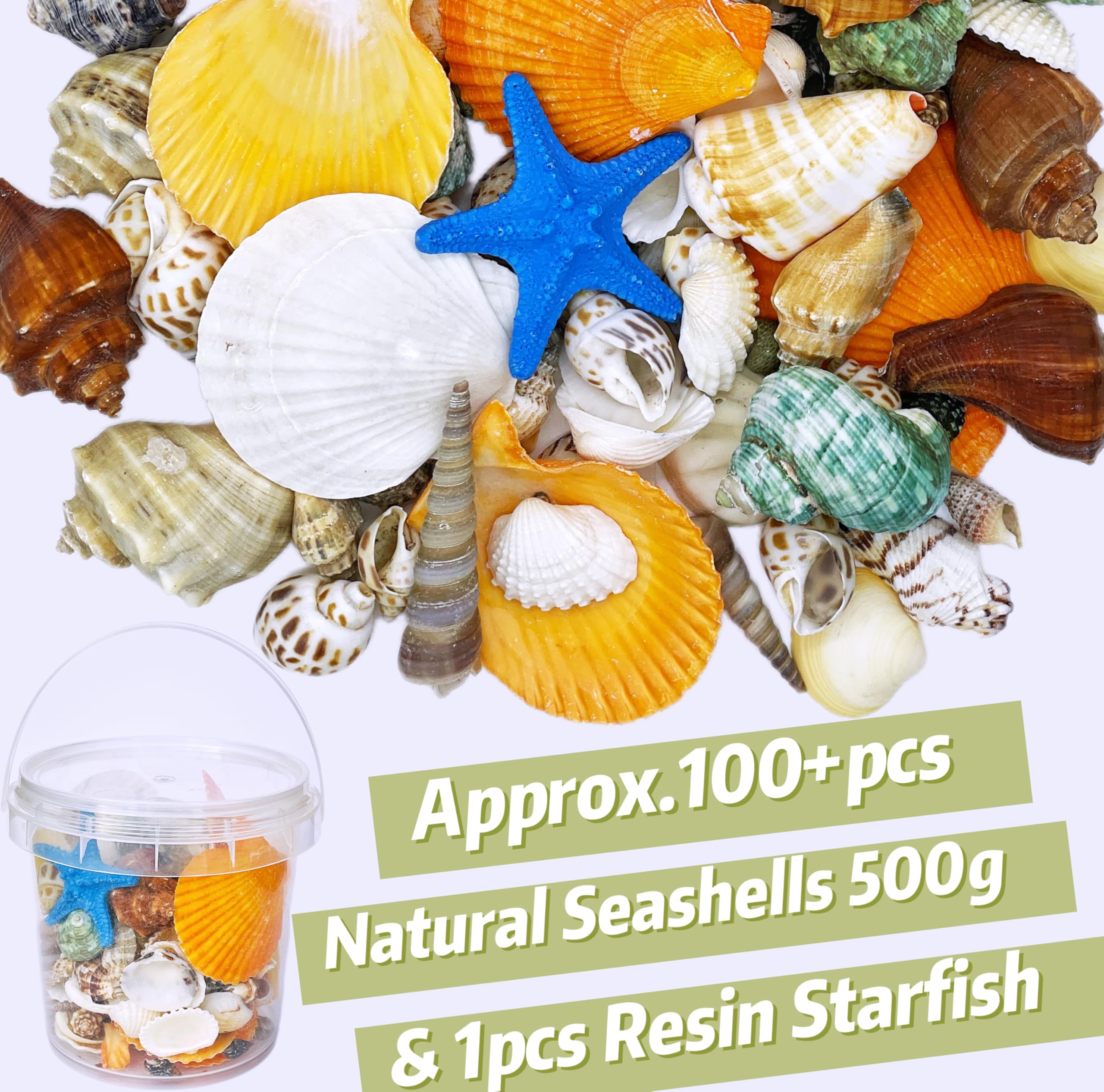 Fish Toys 100 PCS Pack Colorful Plastic Sea Shell/Conch/Starfish Gems ...