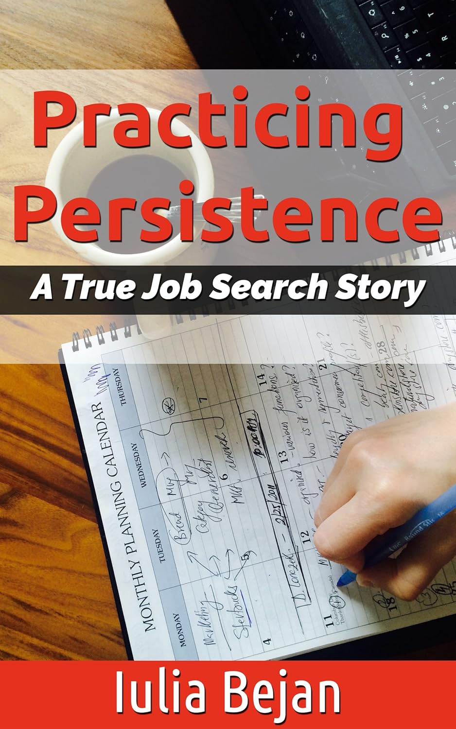Amazon.com: Practicing Persistence - A True Job Search Story eBook ...