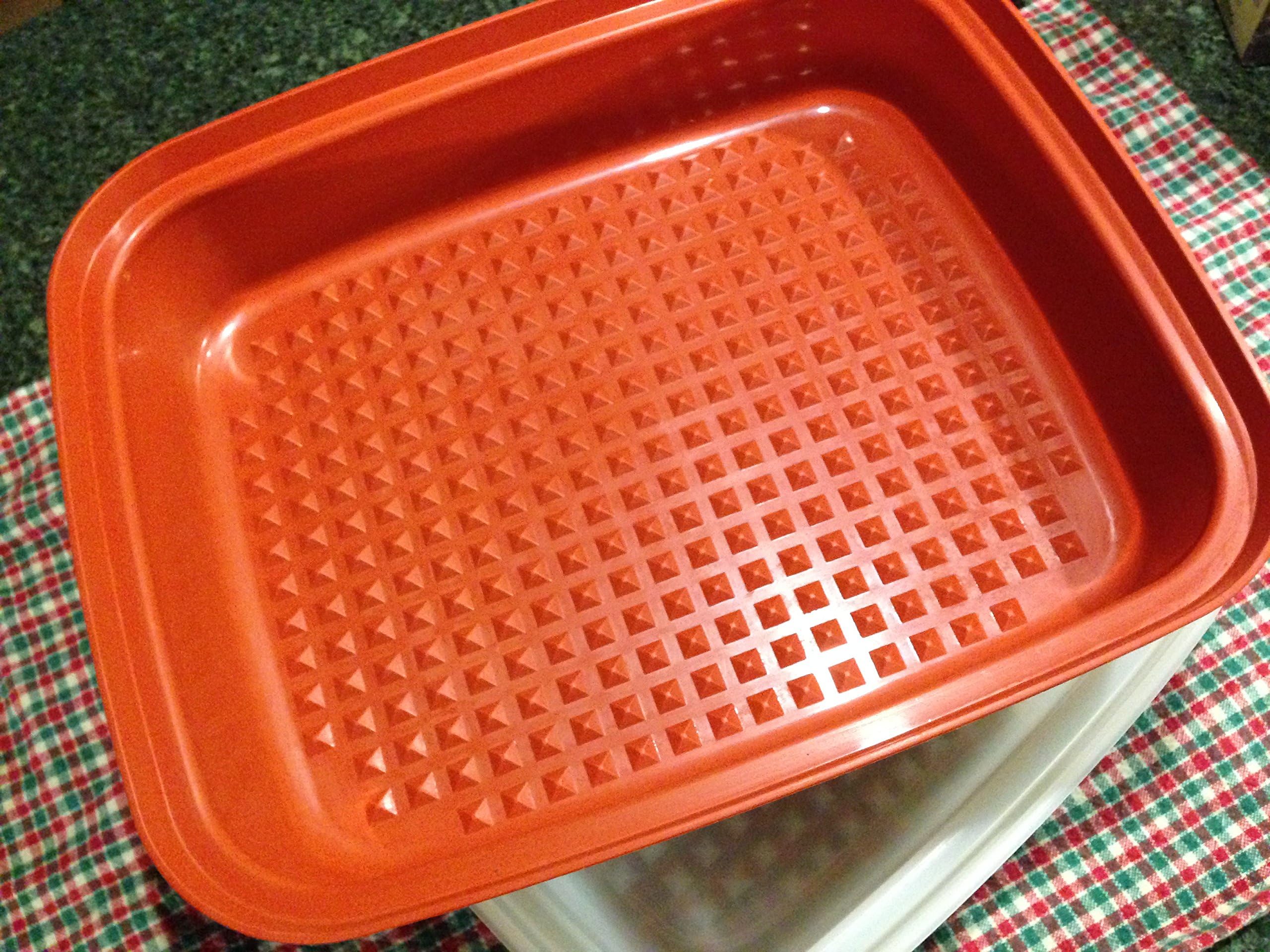 Amazon.com: Tupperware Vintage Large Season and Serve Marinating ...