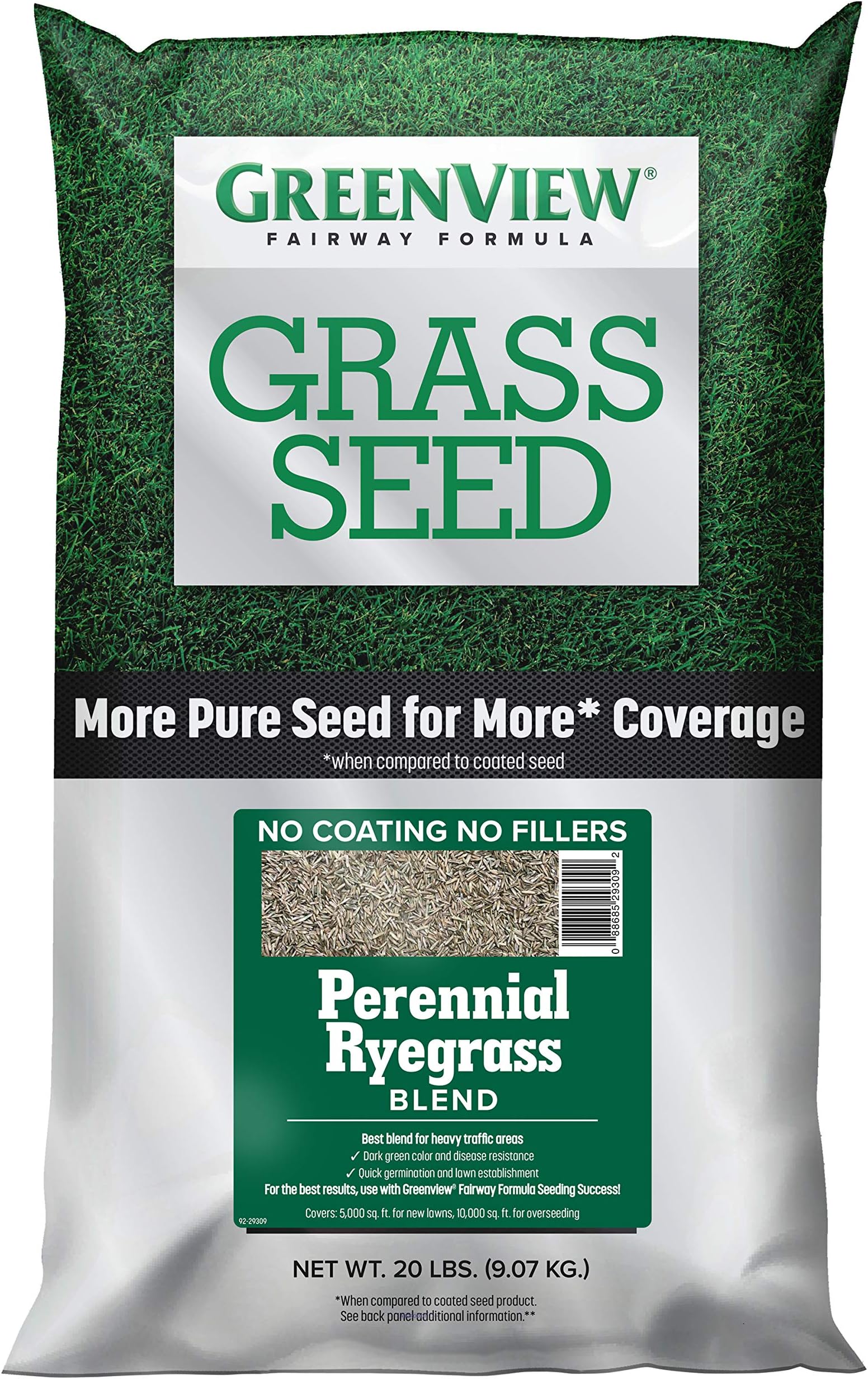 Amazon.com : Blackout Perennial Ryegrass Grass Seed - Fireball and ...