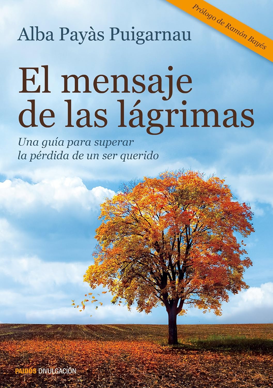 El mensaje de las lágrimas: Una guía para superar la pérdida de un ser ...