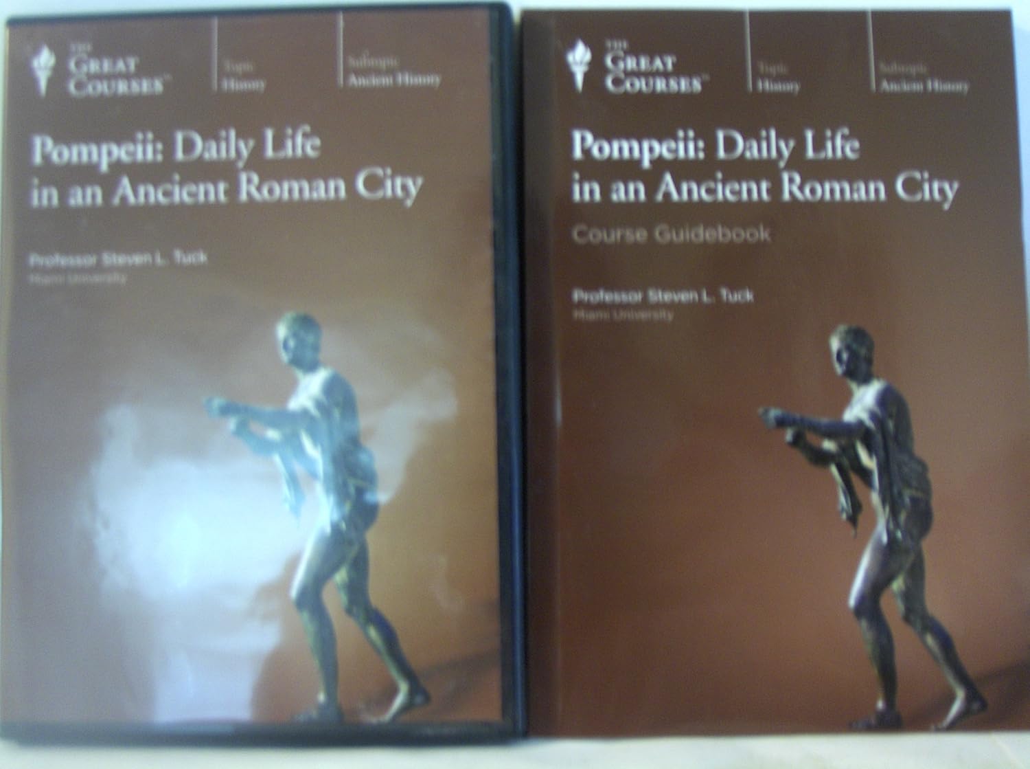 Amazon.com: Pompeii: Daily Life in an Ancient Roman City - DVD : Movies ...