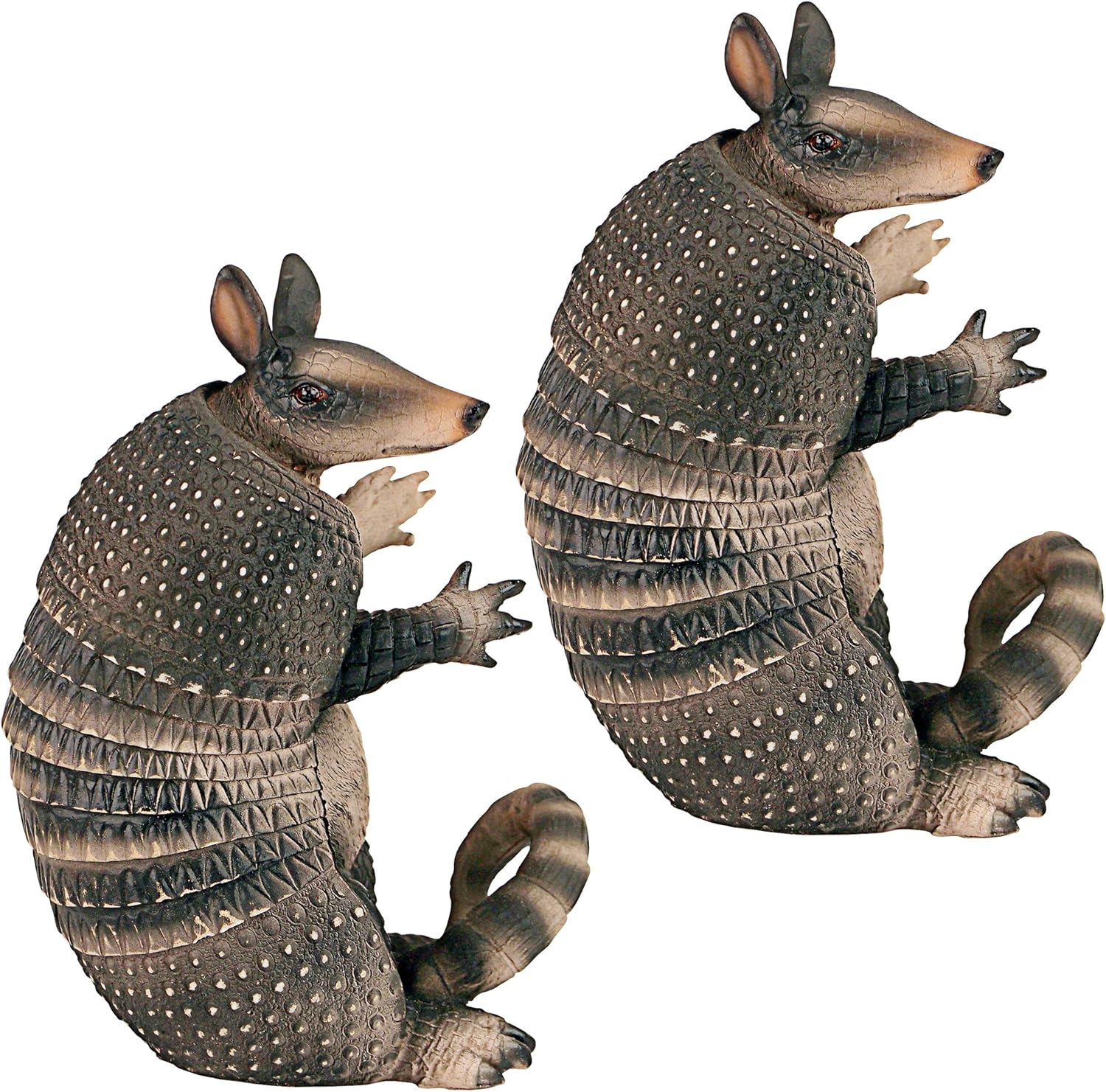 Design Toscano Tex the Armadillo Beverage Holder - Set of 2 : Amazon.co ...