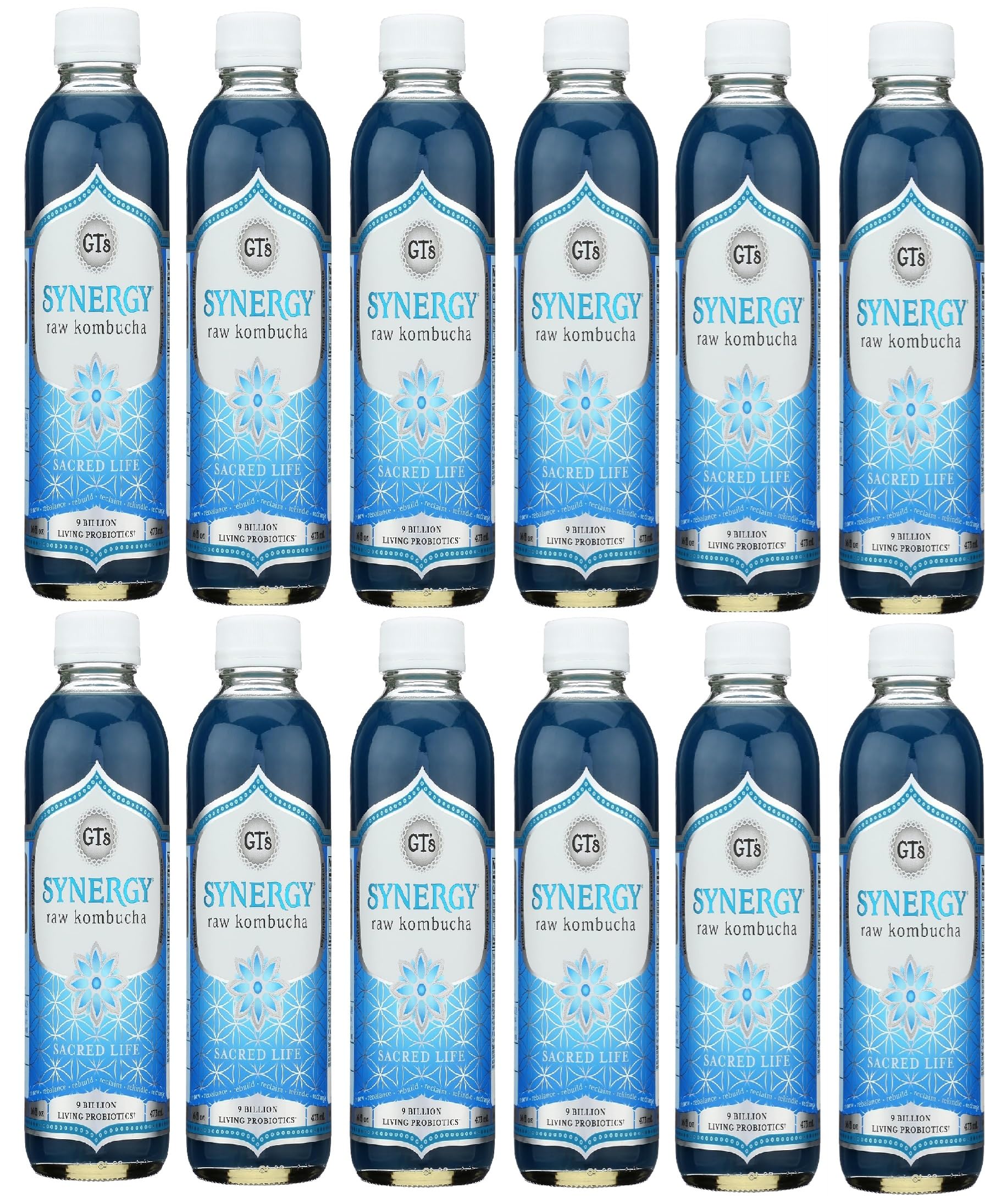 Blue Kombucha Synergy GT's Living Foods Saced Life Kombucha Limited ...