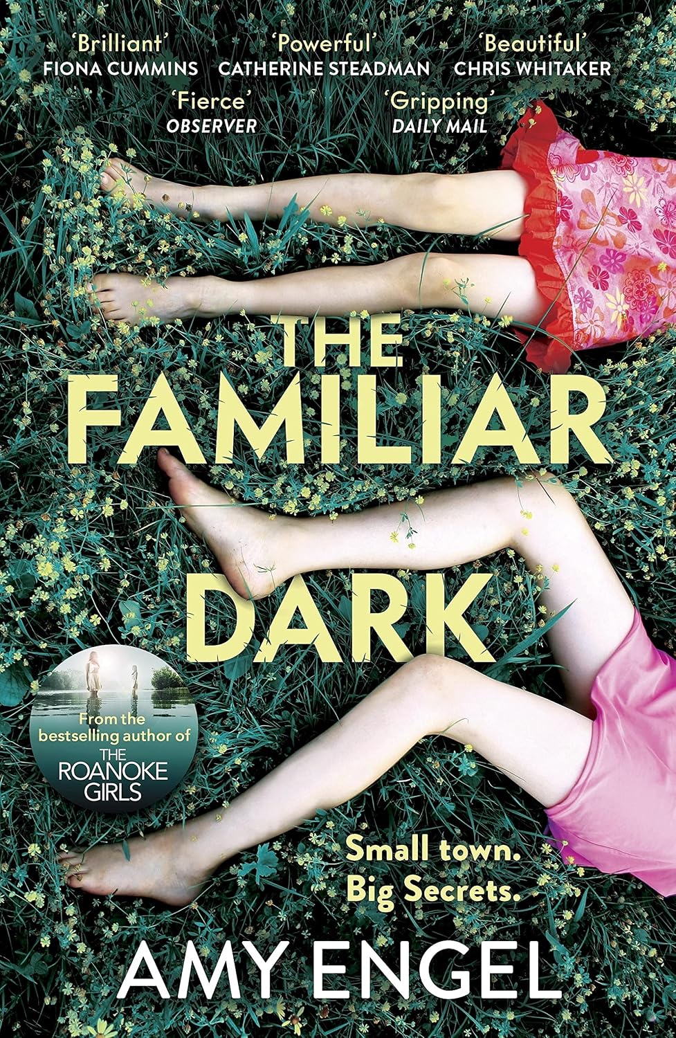 The Familiar Dark: The spellbinding book club thriller that will blow ...